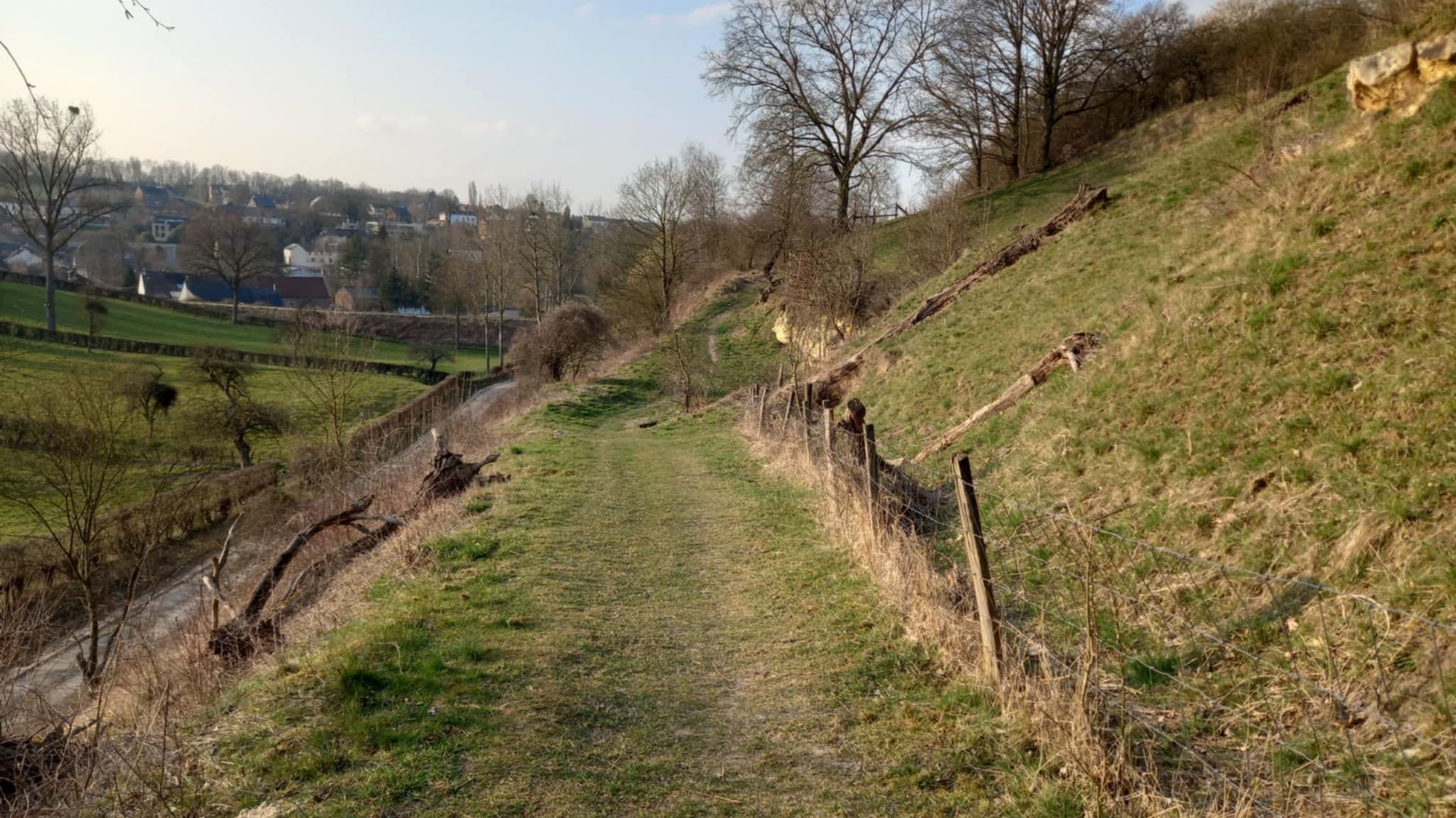 Les 25 marches Adeps du dimanche 23 mars en Wallonie - RTBF Actus