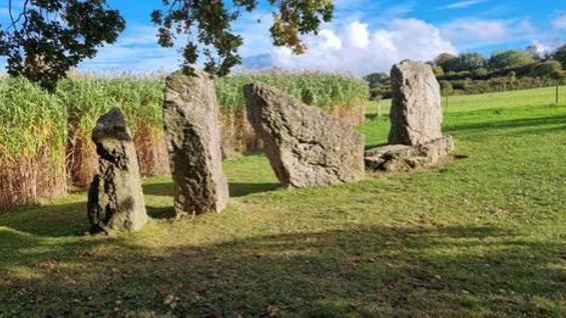 Où boire un délicieux café ou thé en Outremeuse, à Liège ? - RTBF Actus