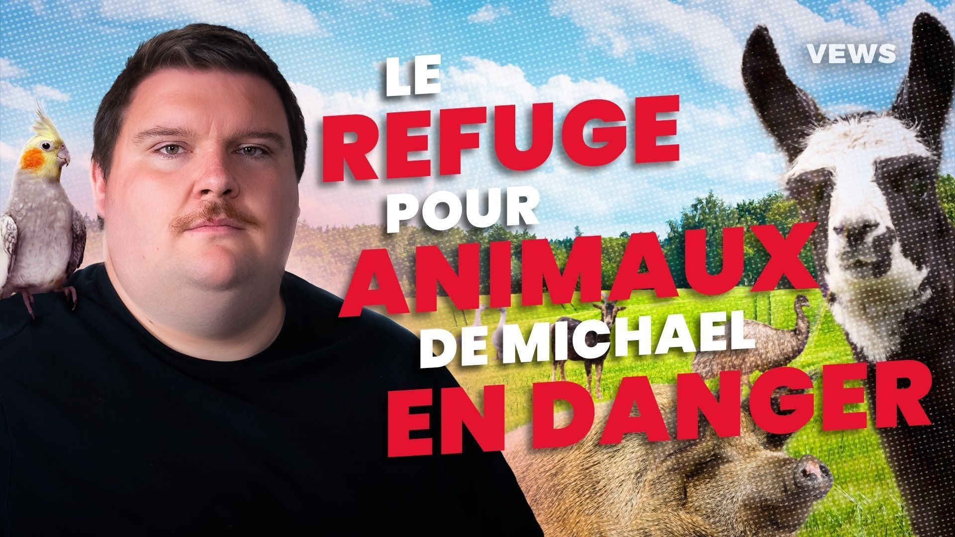 Hastière : le 'sanctuaire' pour animaux de Michaël est en danger - RTBF ...