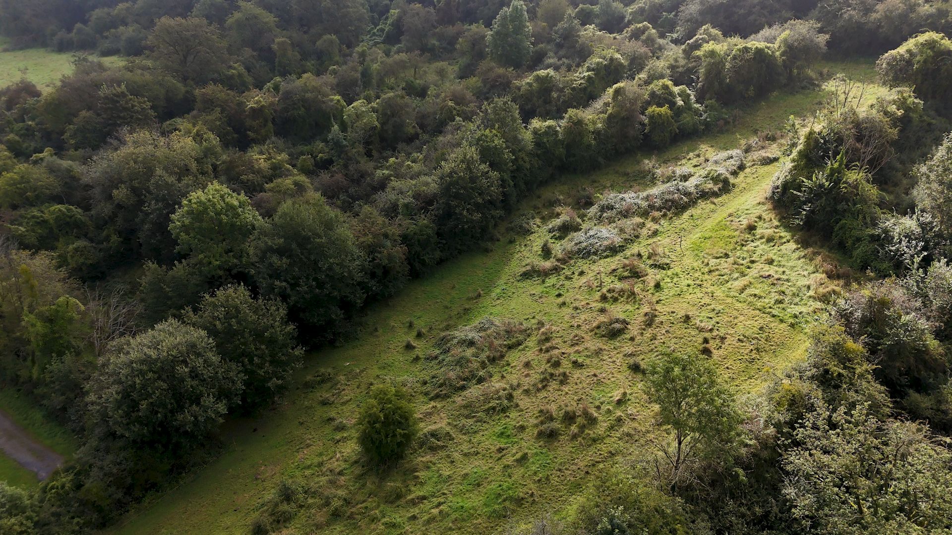 Découvrez où se trouve la plus belle prairie de Wallonie - RTBF Actus