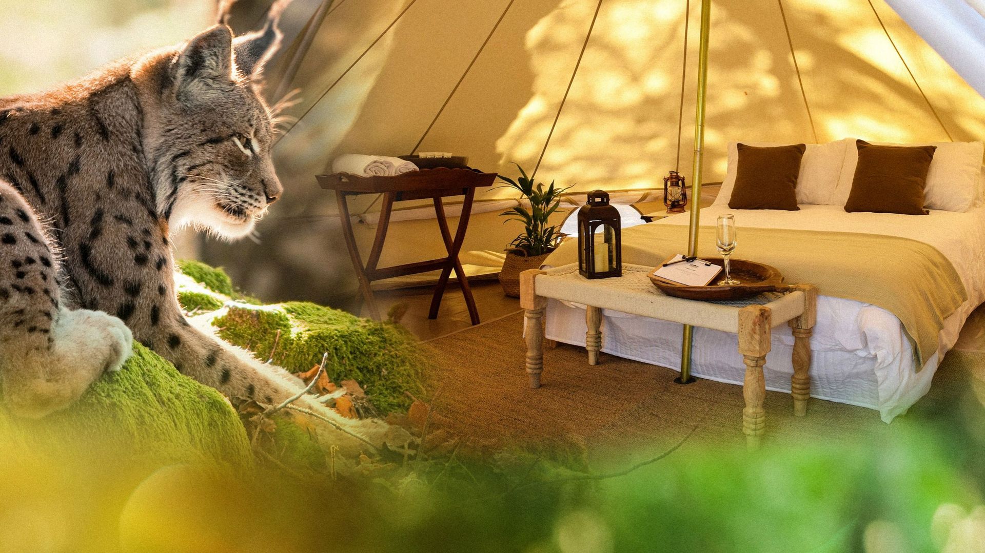 Concours : remportez un week-end 'glamping' au Domaine des Grottes de ...