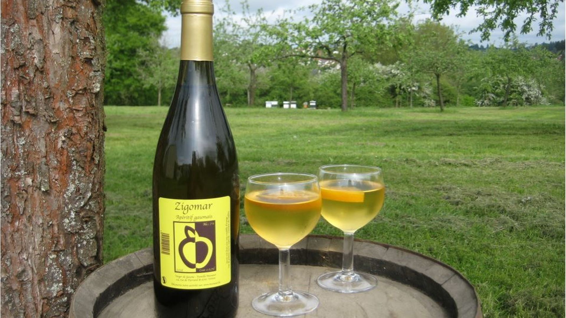 Gaume: vive la renaissance du Zigomar, fierté des Virtonnais - RTBF Actus