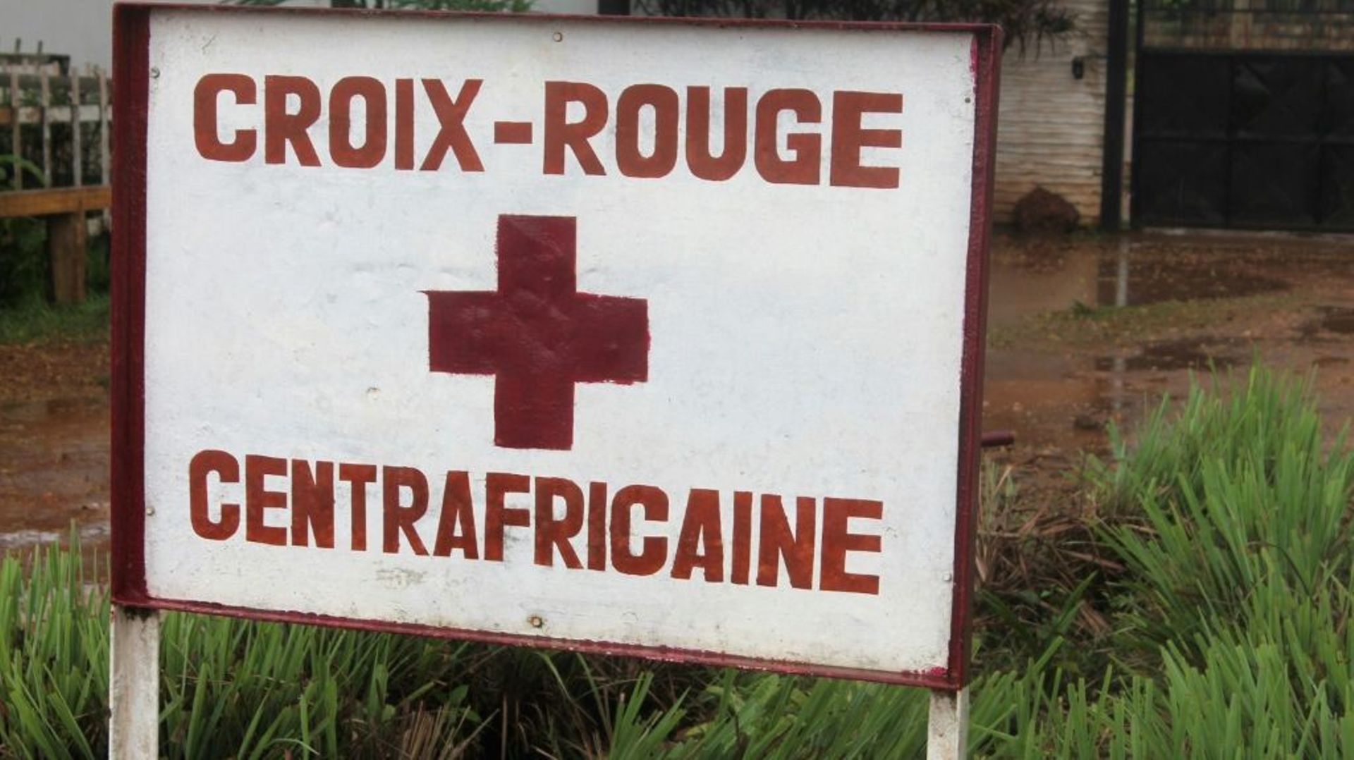 Centrafrique: six humanitaires tués à Gambo - rtbf.be