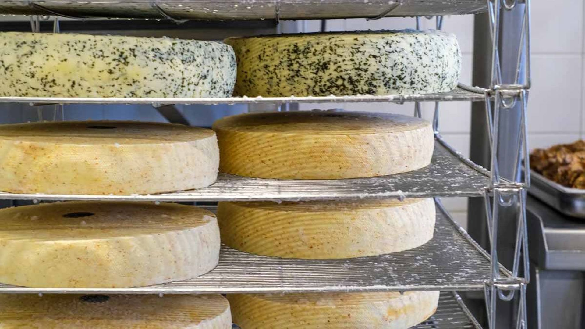 Le roquefort célèbre 100 ans d’appellation mais ne plaît plus autant - RTBF Actus