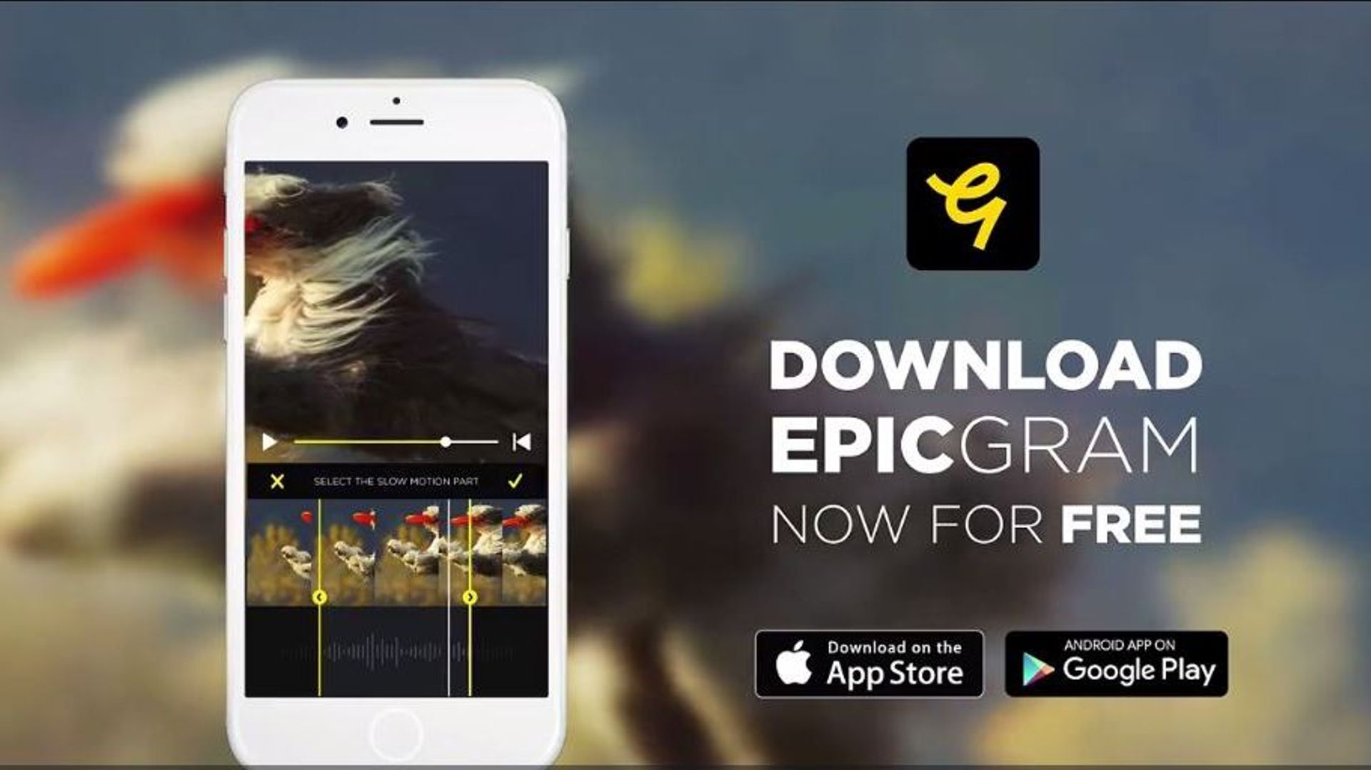 Epicgram : la nouvelle app belge pour vos vidéos de l'été - RTBF Actus