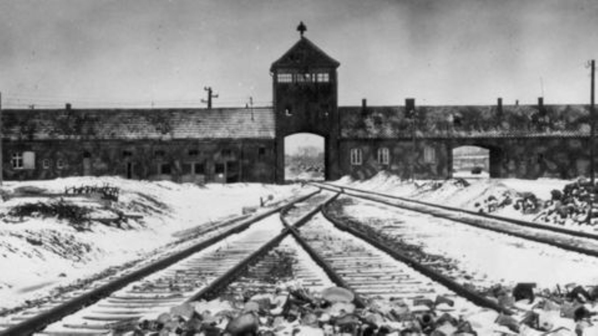75 ans de la libération d'Auschwitz : le train, les travaux forcés et ...