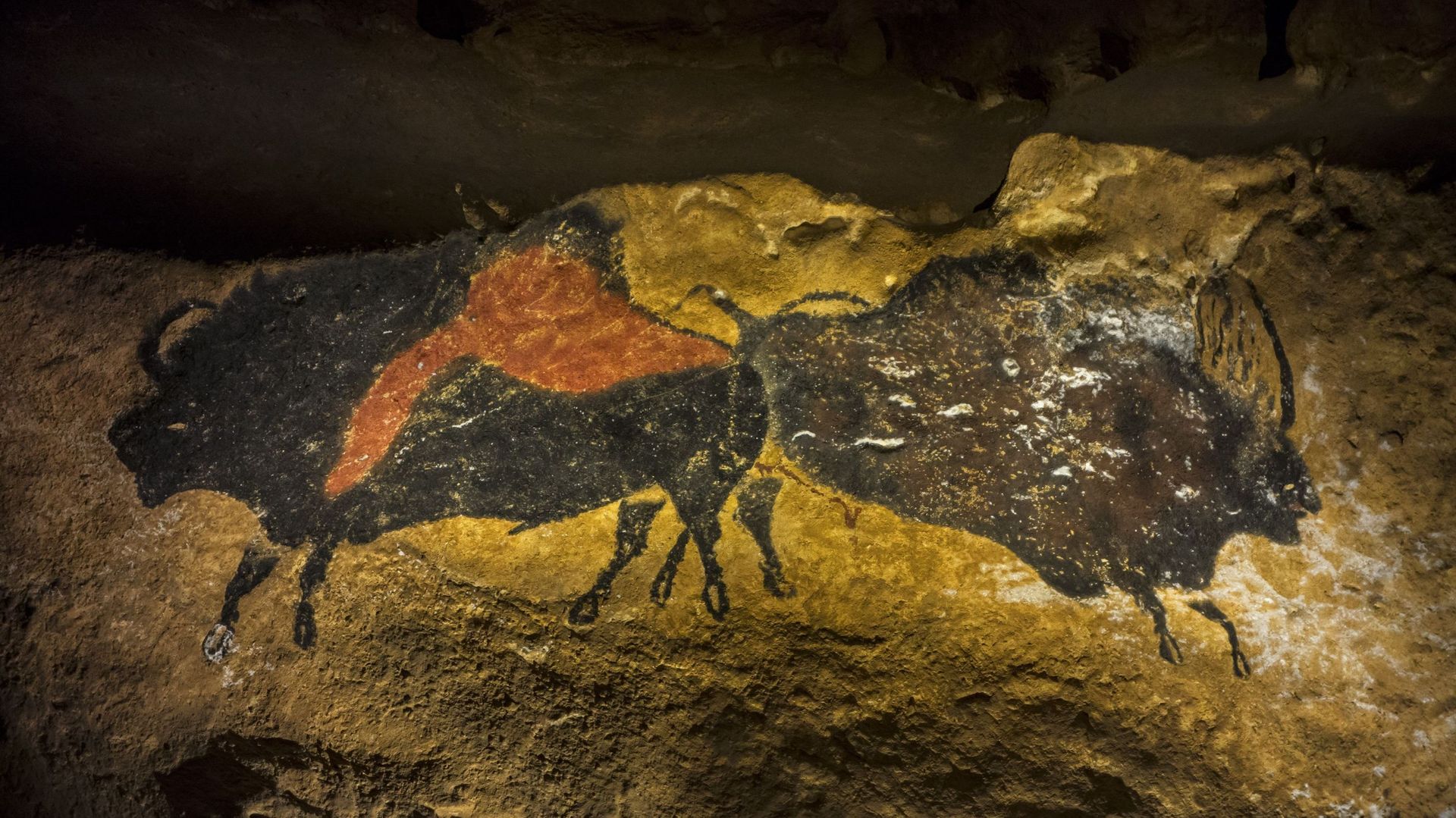 L’homme de Cro-Magnon : la signification de ses dessins dans les ...