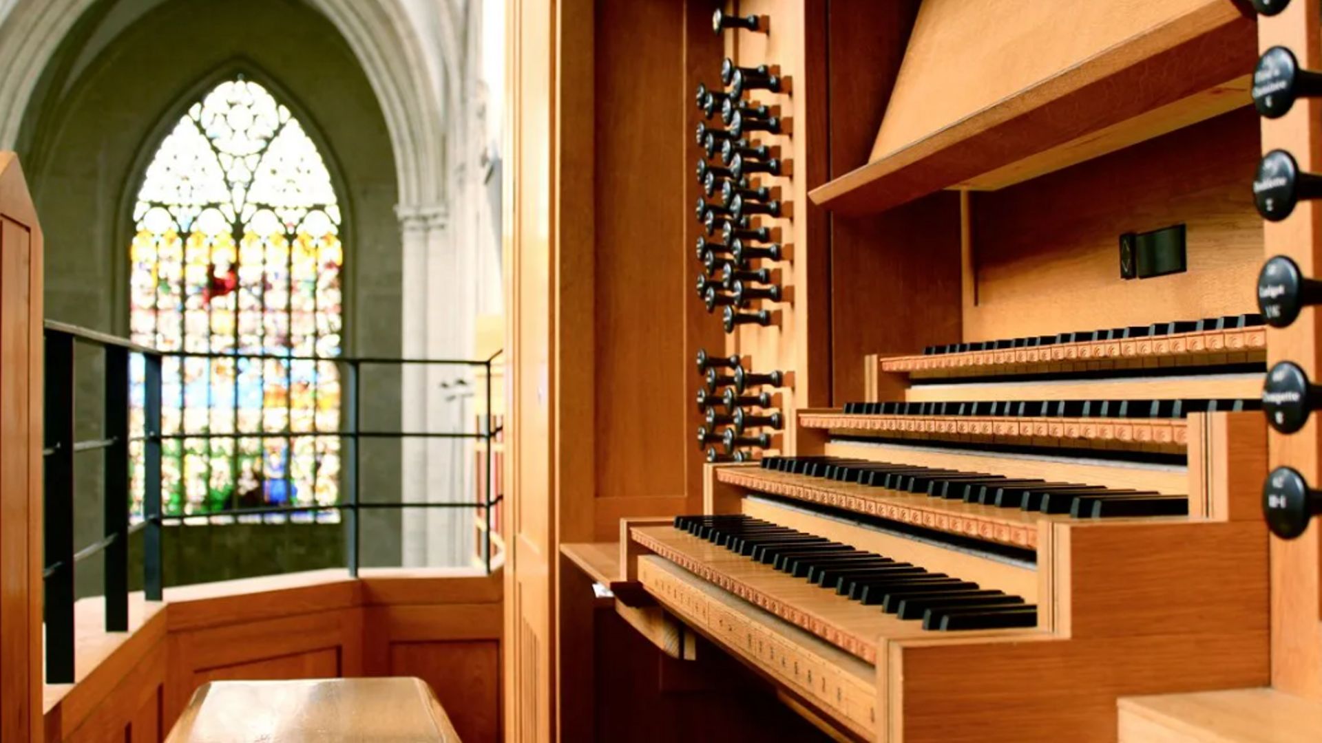 Journée internationale de la danse : qui sont les 'petits rats de l ...