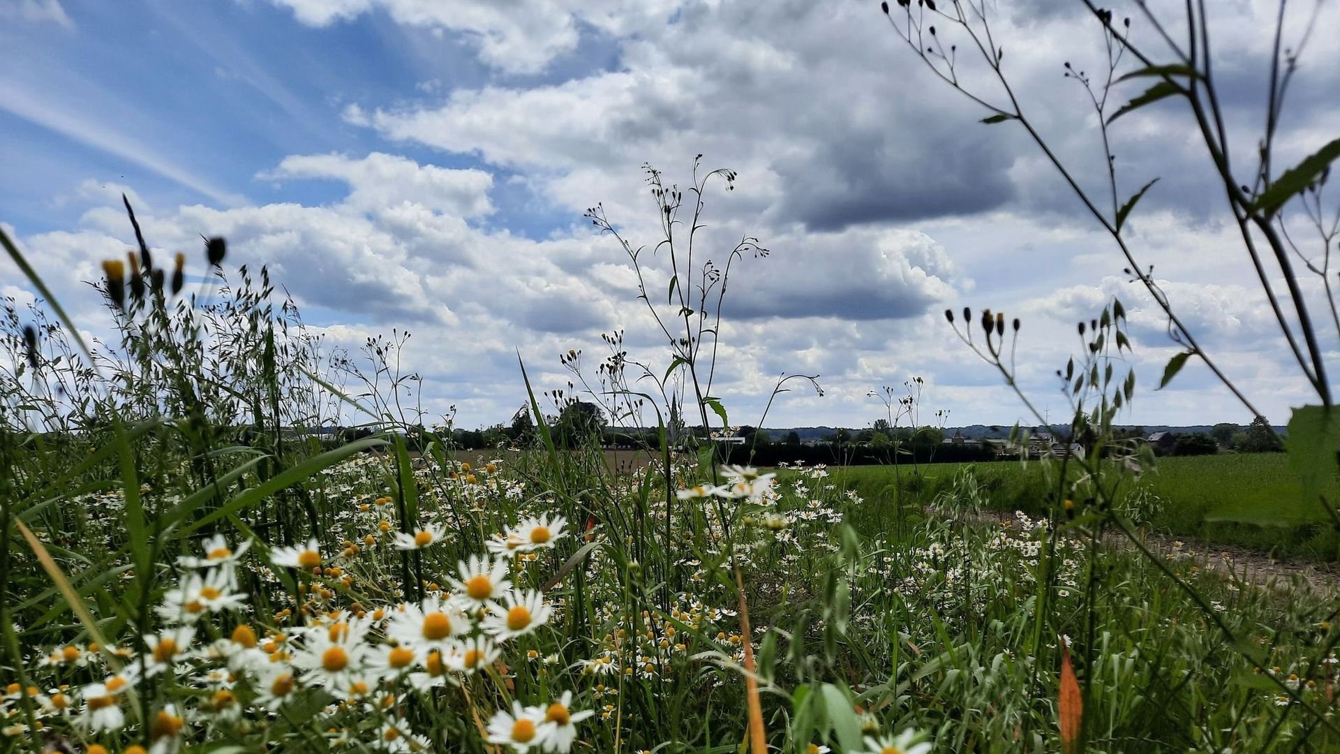 Météo en Belgique : les éclaircies et les nuages se partageront le ciel ...