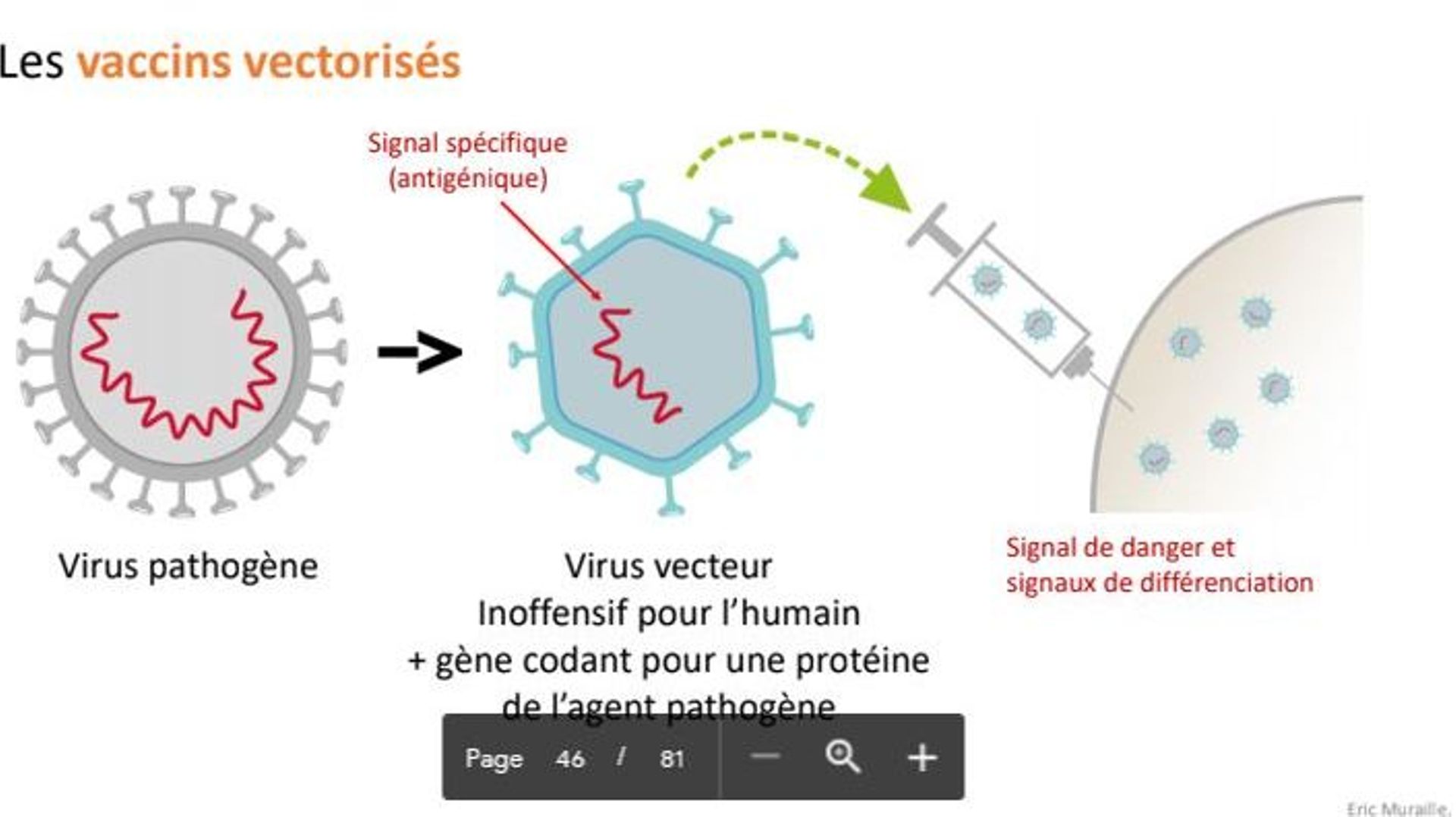 Des poules de Pasteur à l’ARN messager : les progrès des vaccins - RTBF ...