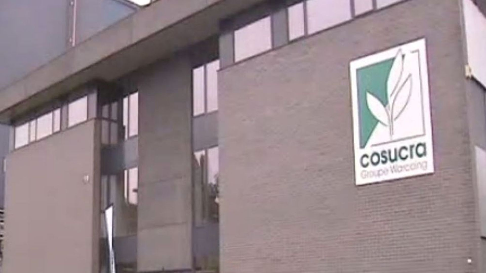 Made in Belgium : Cosucra, la protéine du succès - RTBF Actus