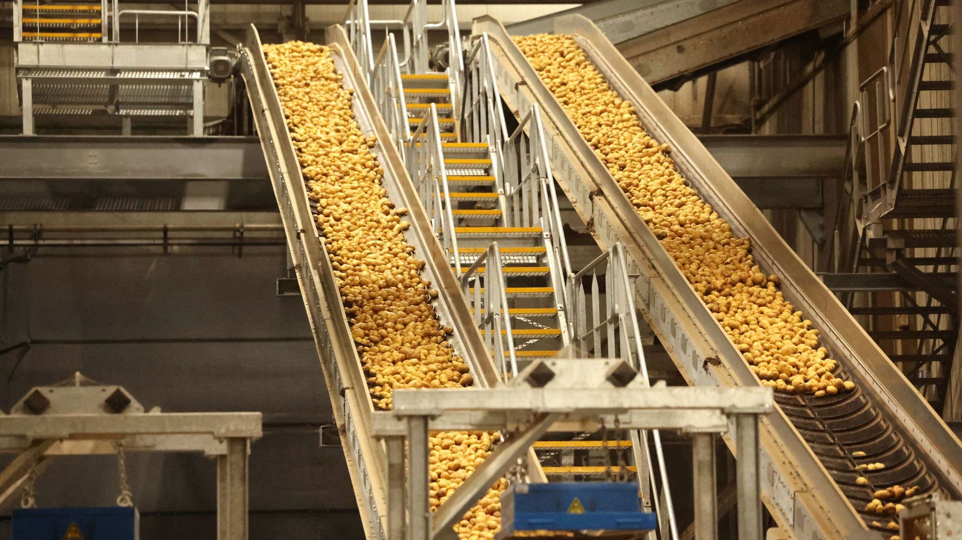 L'américain Simplot avale le belge Clarebout Potatoes, géant de la ...