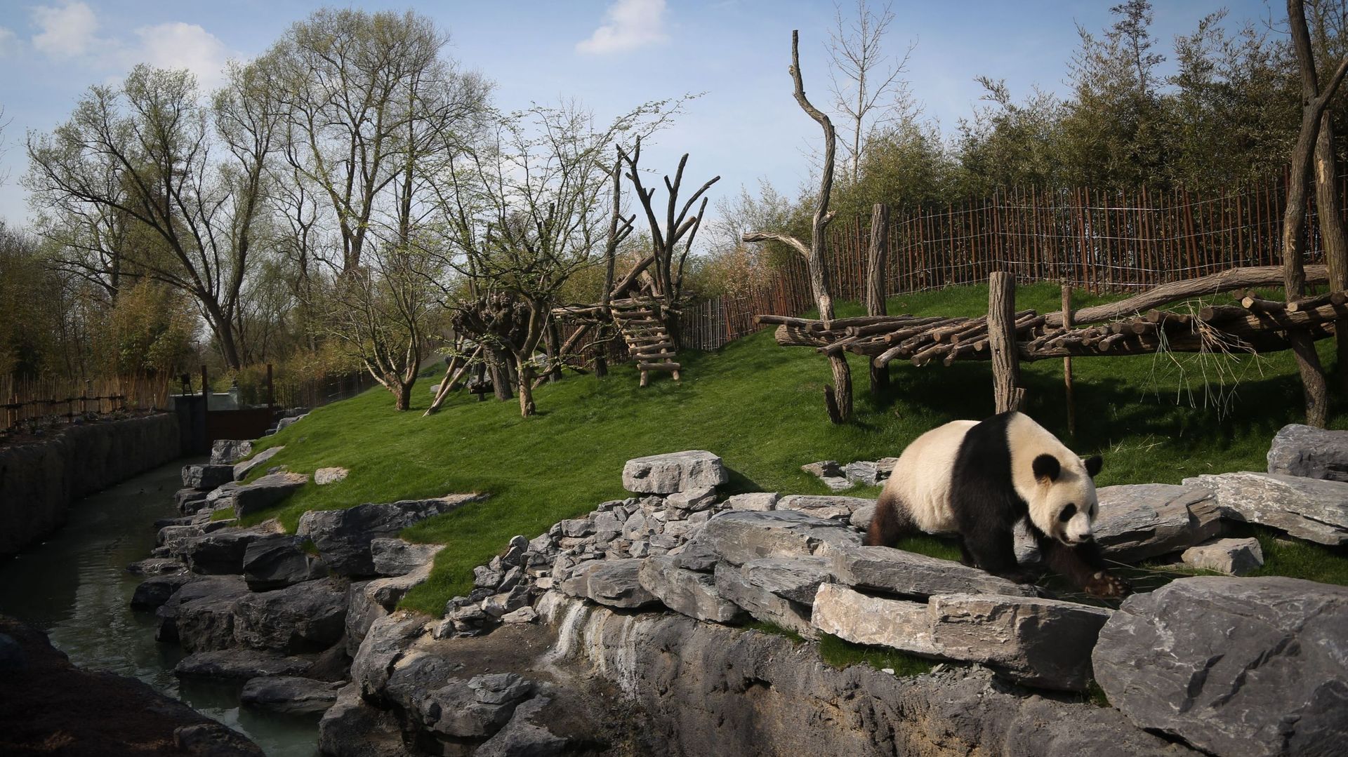 Eric Domb va créer un nouveau quartier à côté de Pairi Daiza - RTBF Actus
