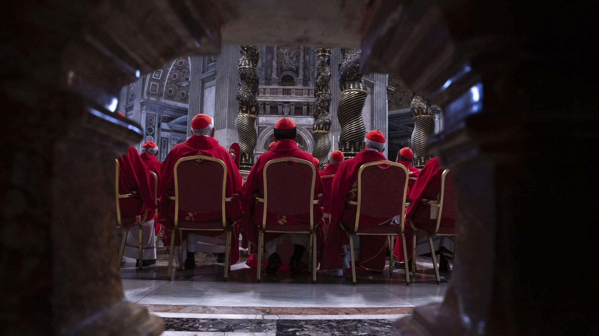 Vol au-dessus d’un nid de cardinaux : la mouette du conclave et la ...