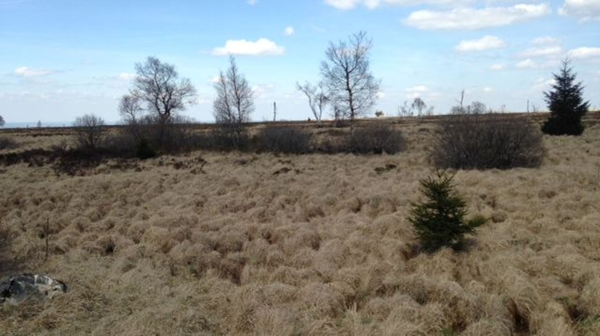 Signal de Botrange: après la neige, le beau temps