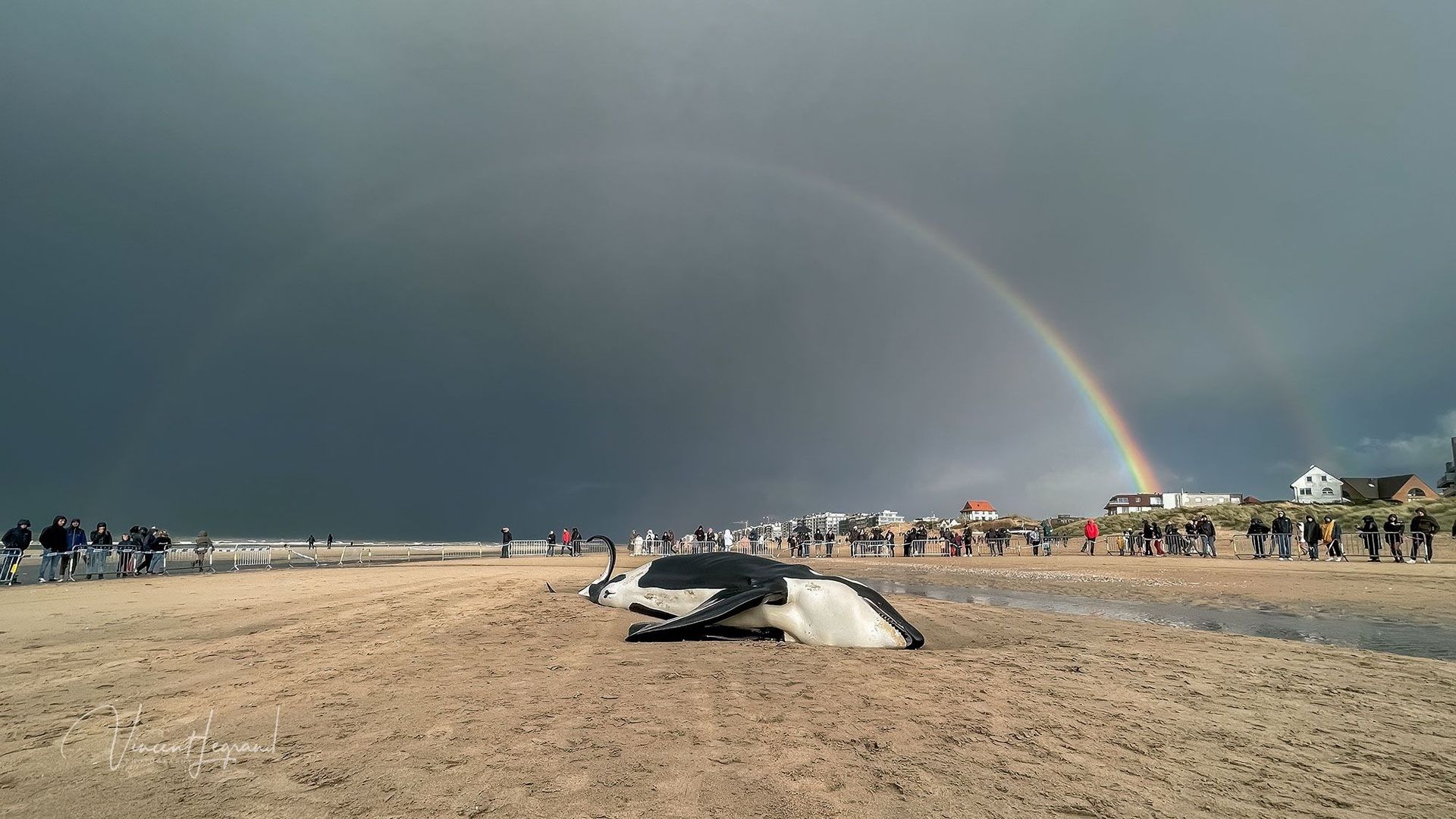 Quand la tragédie croise la beauté : rencontre d’un photographe avec l ...