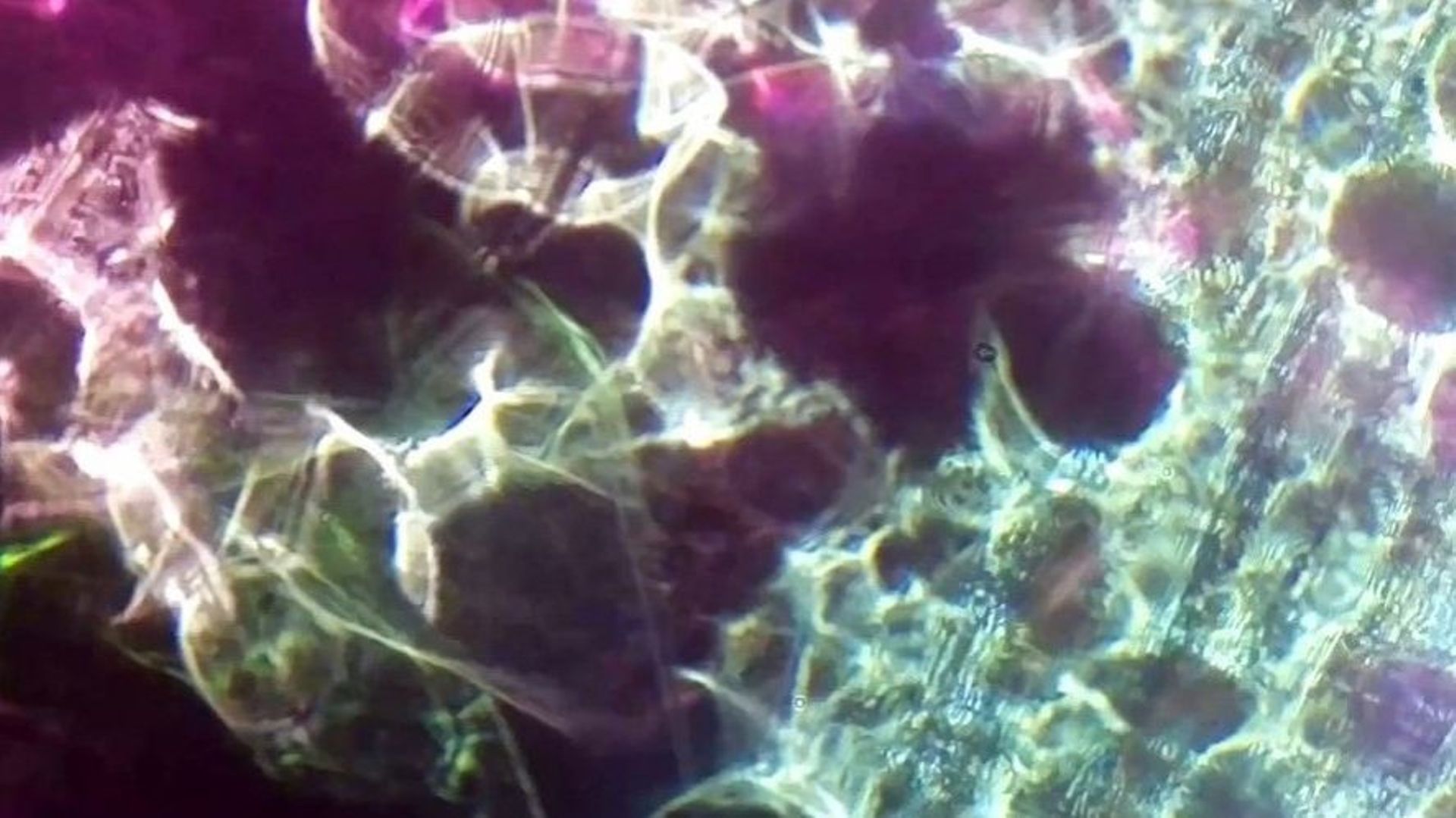 Stellar Scape : la nouvelle conquête spatiale au Pavillon à la citadelle de Namur - RTBF Actus