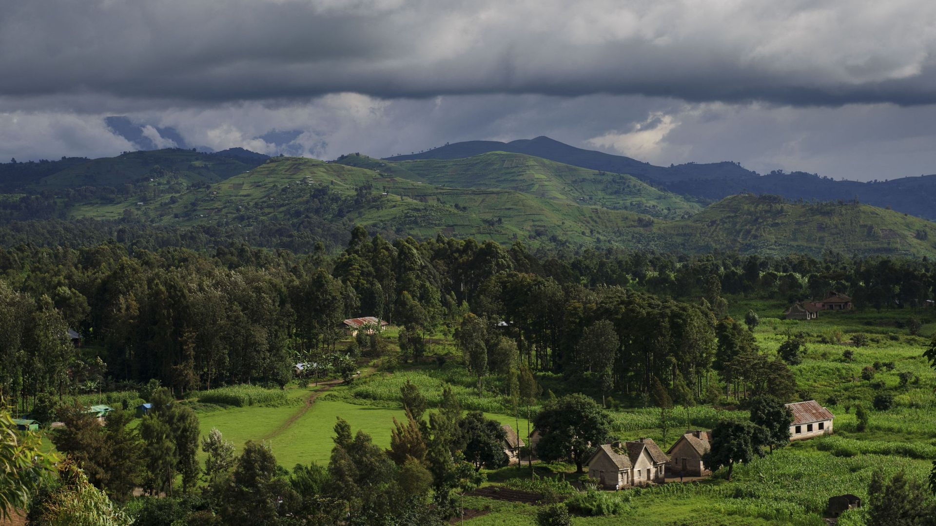 Congo: appel à protéger le Parc des Virunga de l'exploration pétrolière ...