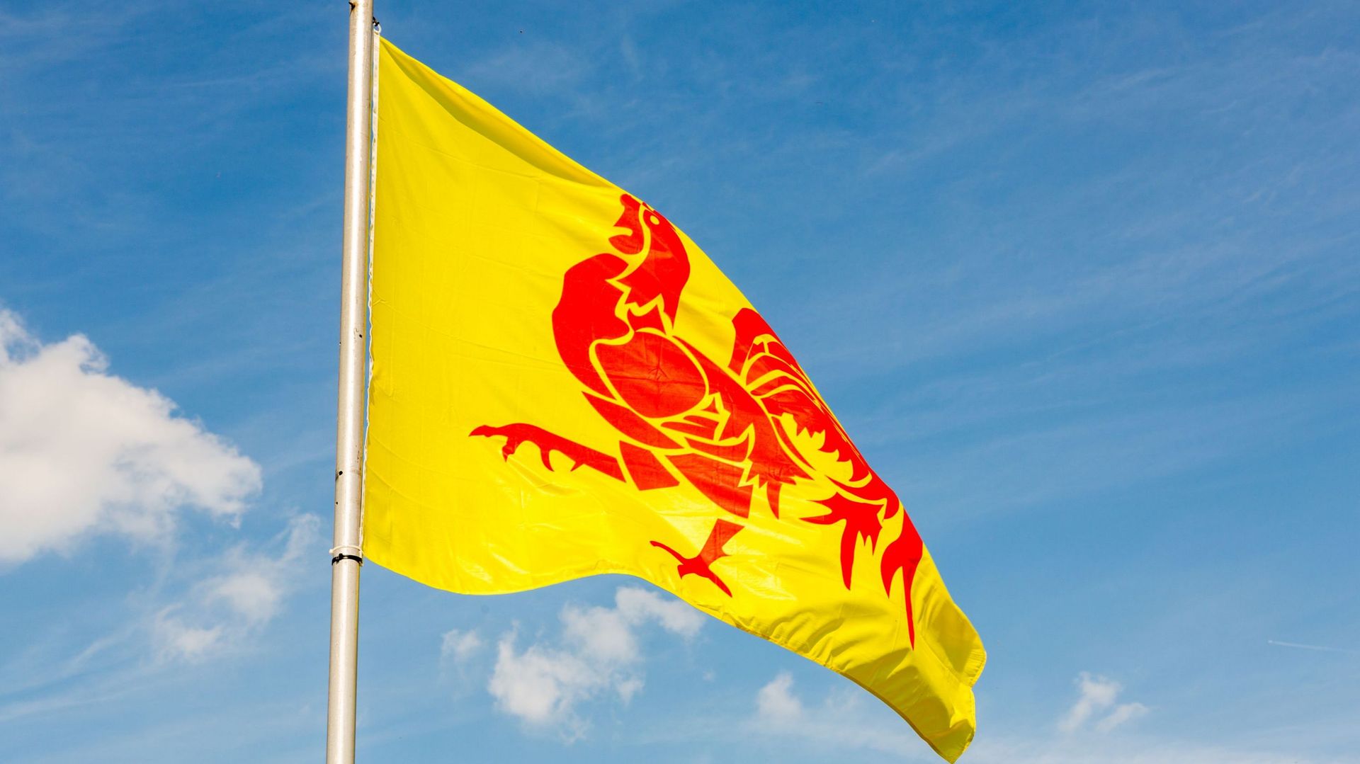 Fête de la Fédération Wallonie-Bruxelles le 27 septembre : que savez ...