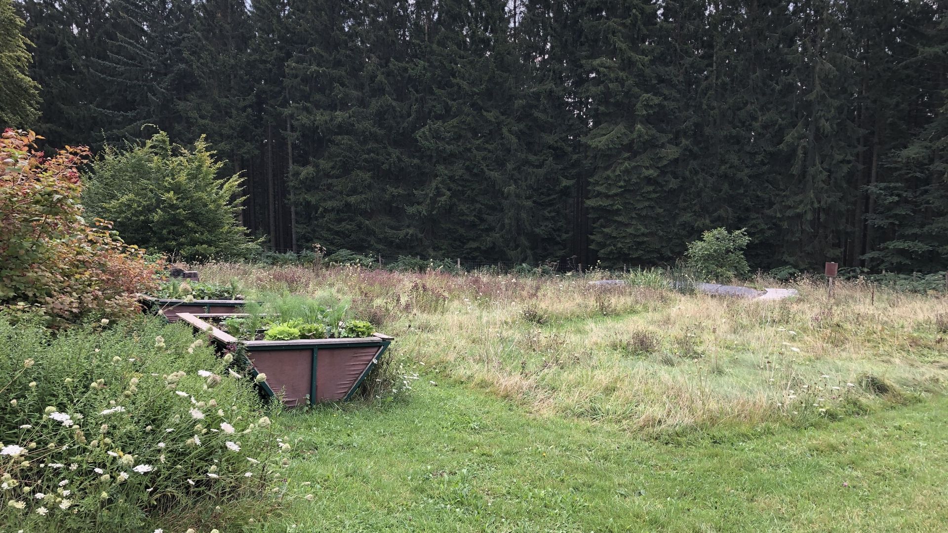 La commune de Manhay regorge de bonnes adresses ! - RTBF Actus