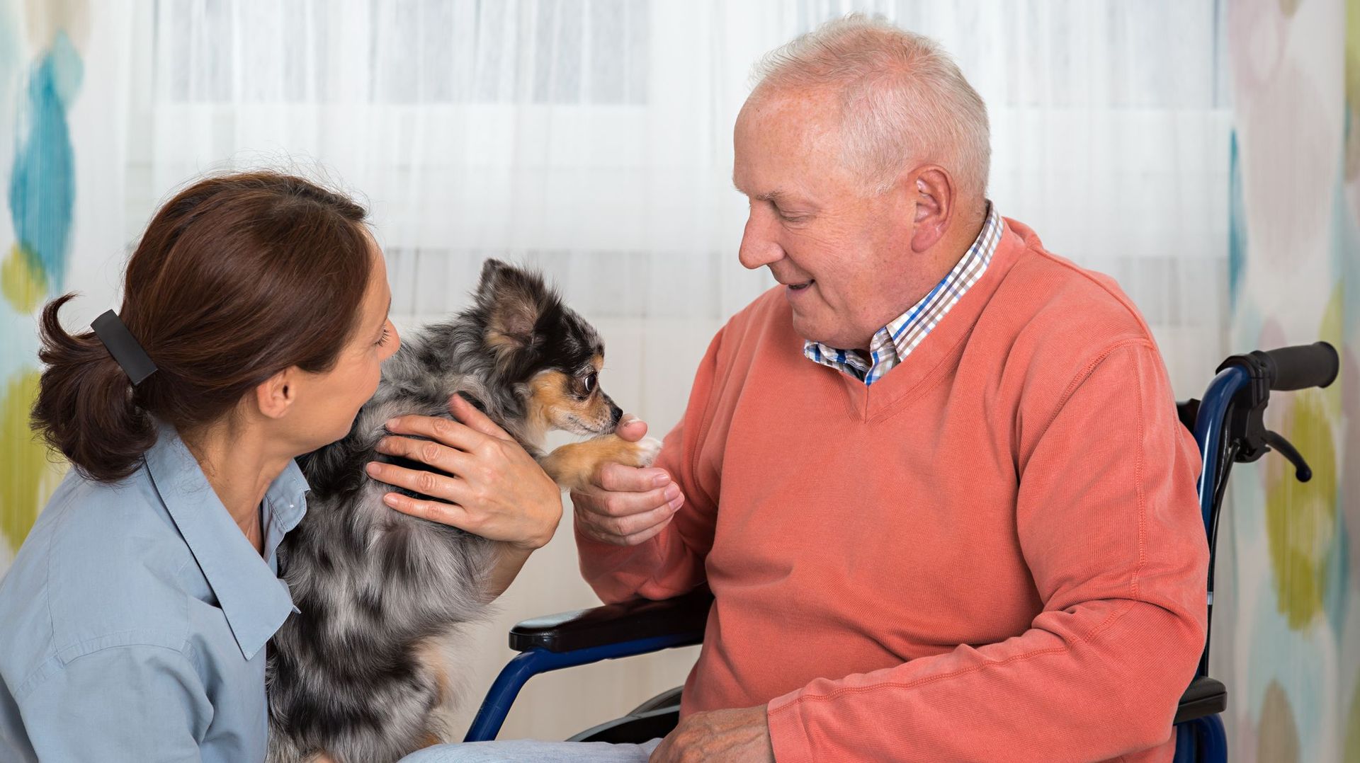 Le chien thérapeute, une technique qui fonctionne ? - RTBF Actus