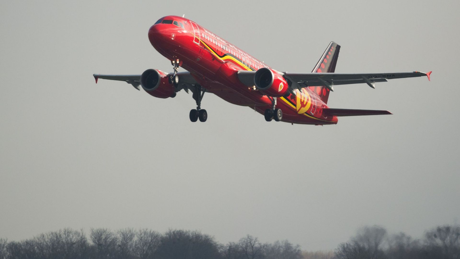 Six photos de fans sur l'avion des Diables rouges - RTBF Actus