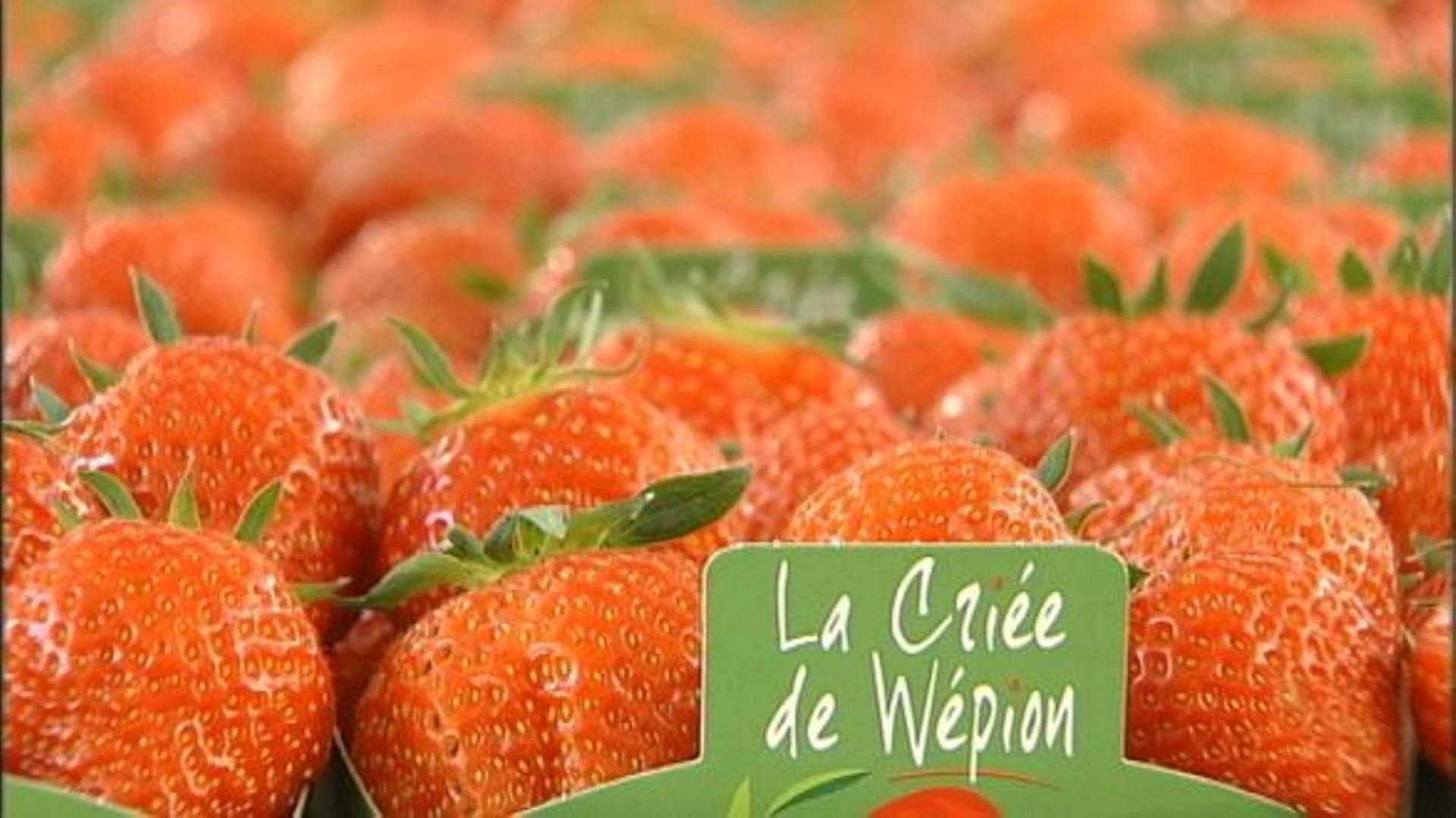 Les fraises de Wépion proviennent-elles de Wépion ? - RTBF Actus