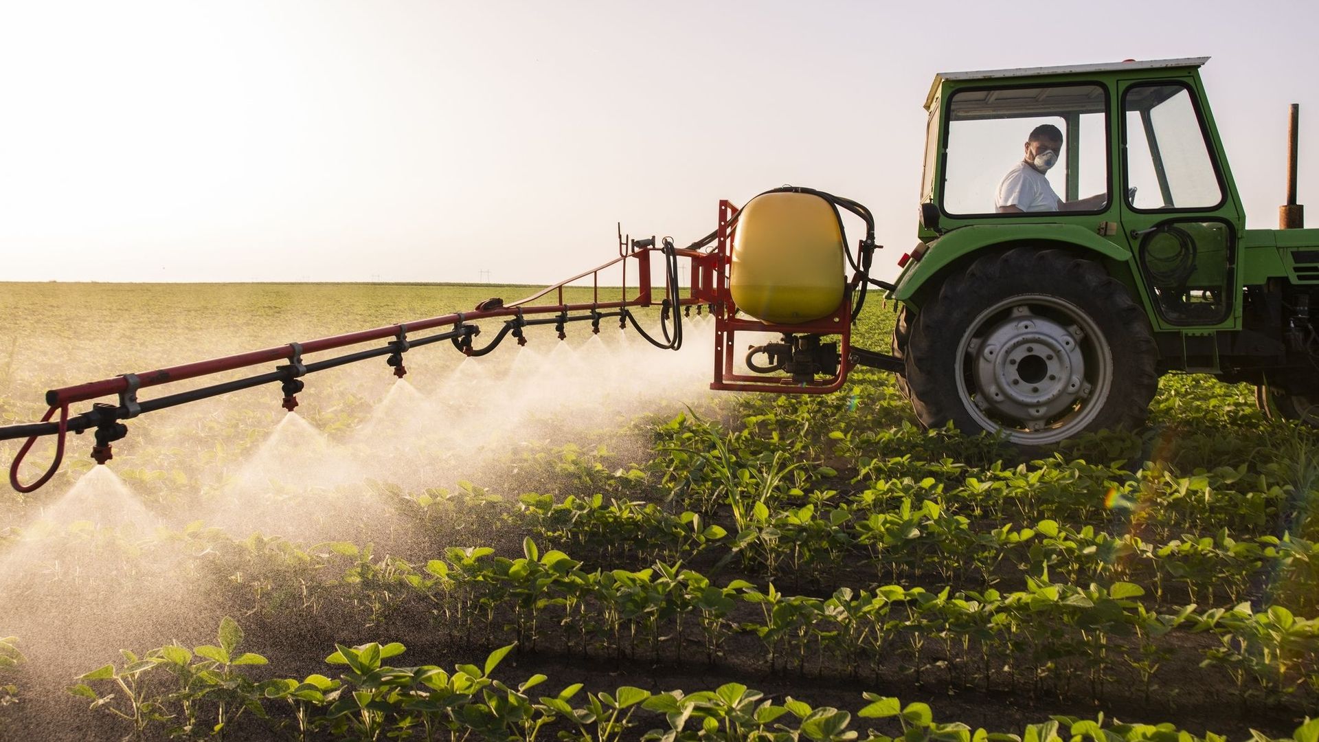 Pesticides et santé : les agriculteurs restent les principales victimes de ces substances - RTBF ...