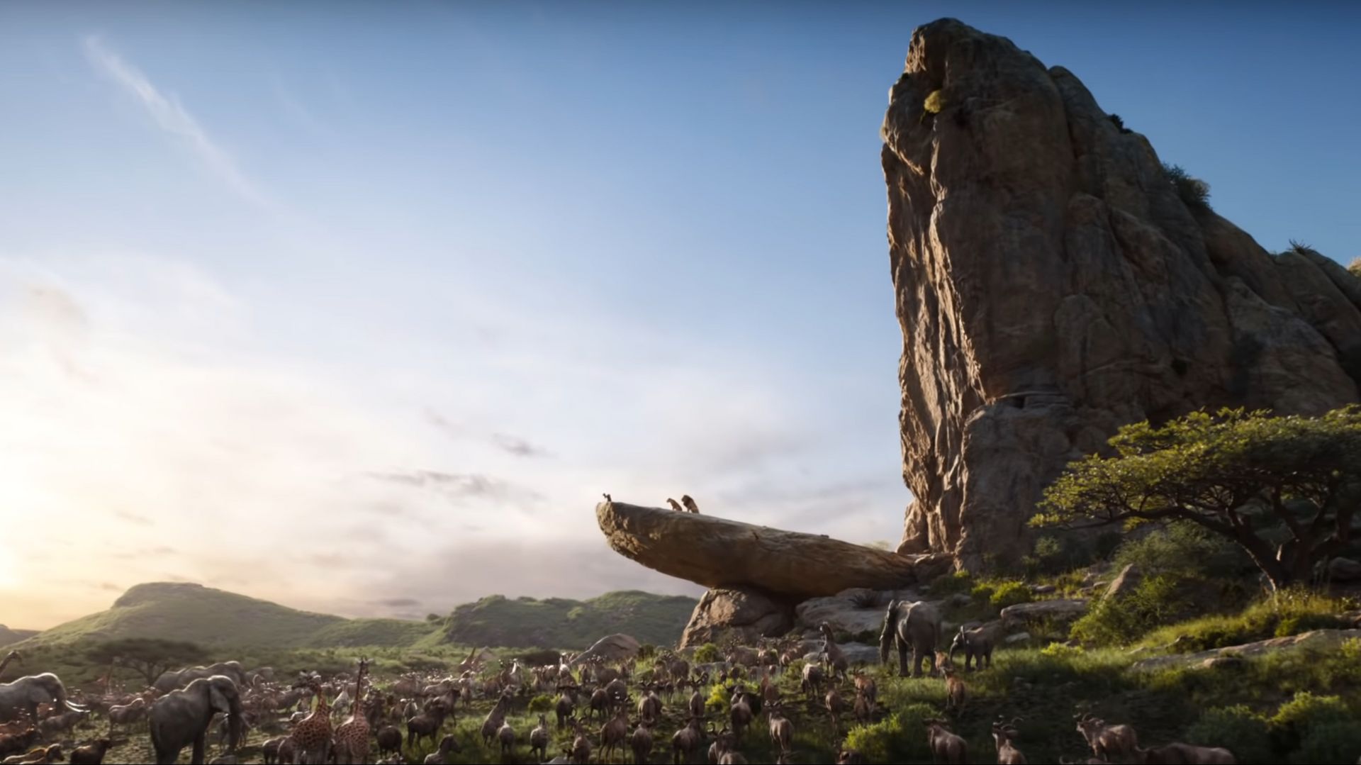 Le Roi Lion / Les premières images de la savane