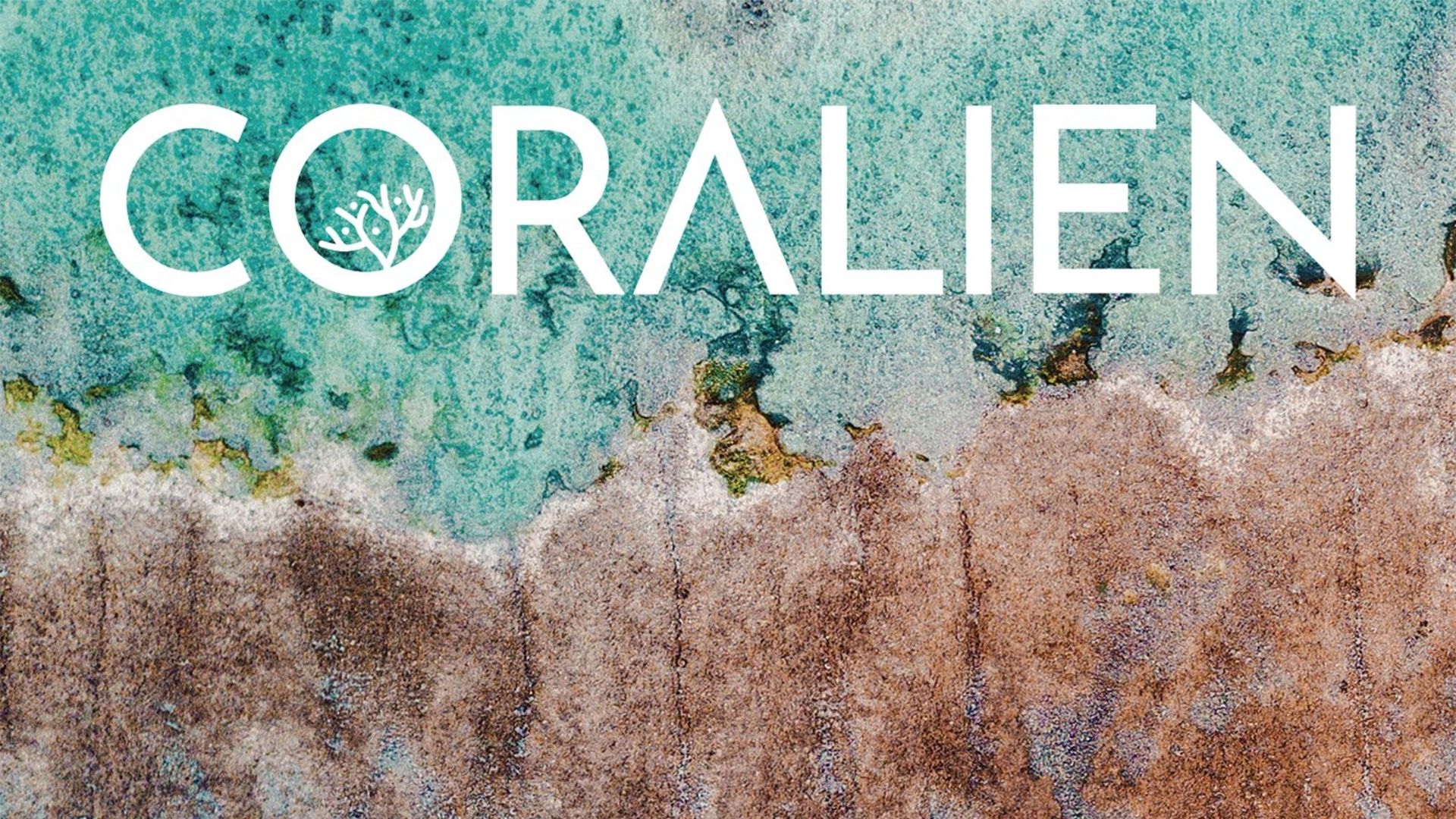 Un premier EP pour Coralien & Co - RTBF Actus