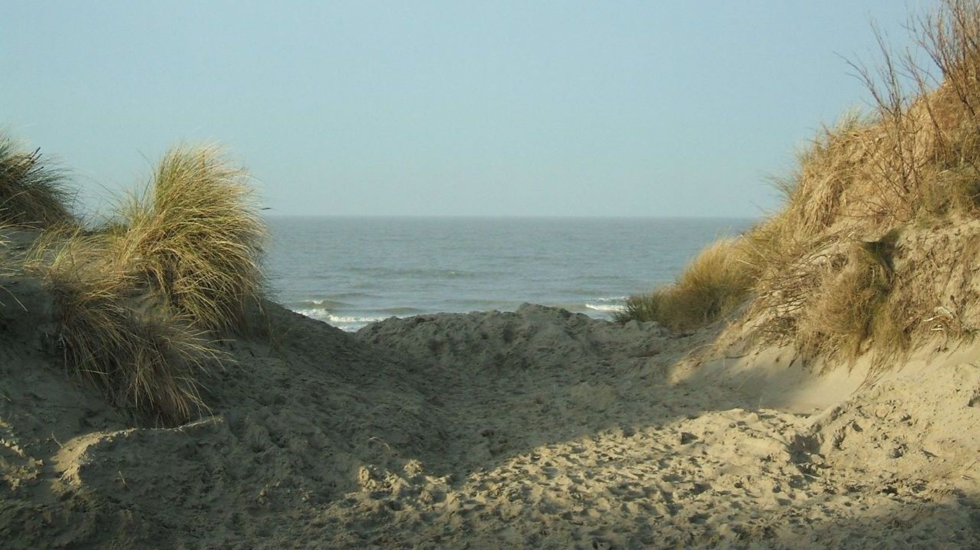 Bredene: la plage naturiste obtient une concession de la Région ...