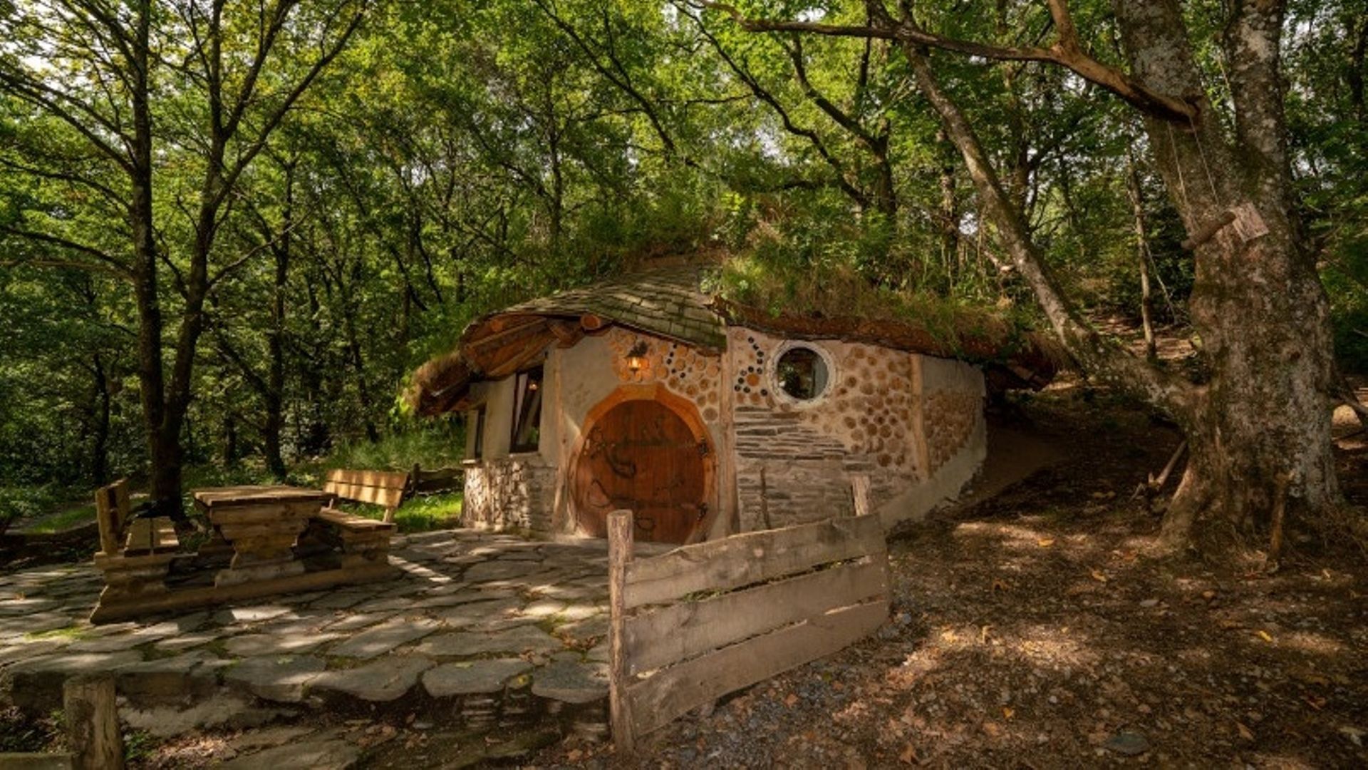 Un hôtel insolite en pleine forêt : découvrez 'Mon lit dans l’arbre' en ...