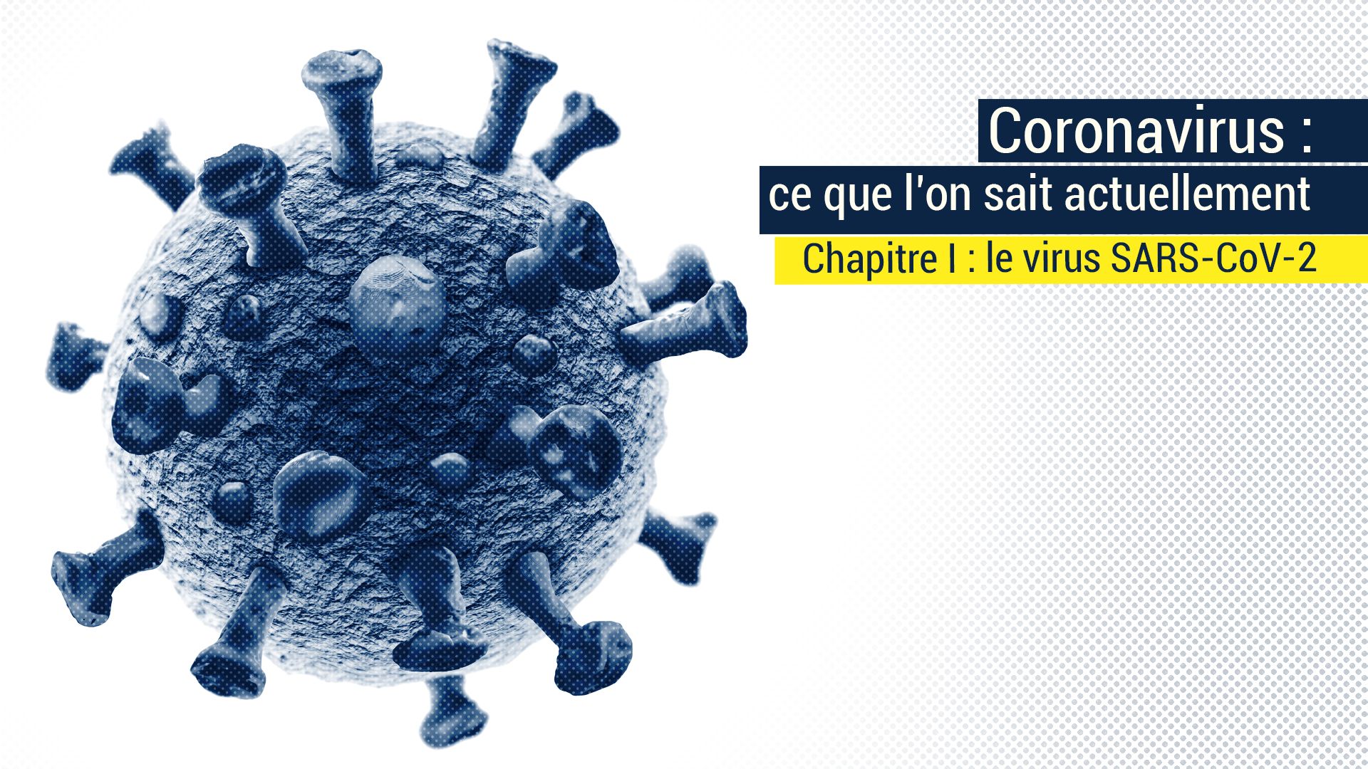Coronavirus : bientôt un an, ce que l’on sait sur le virus SARS-CoV-2 ...
