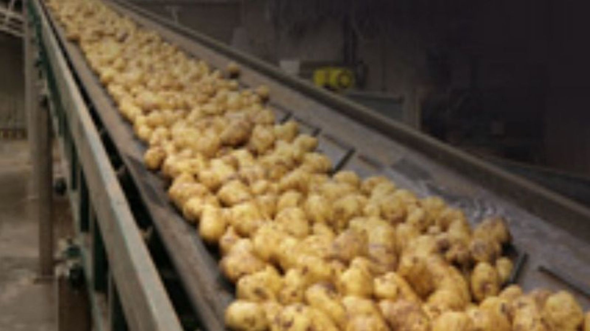 Clarebout Potatoes va s'étendre tout en modernisant ses installations ...