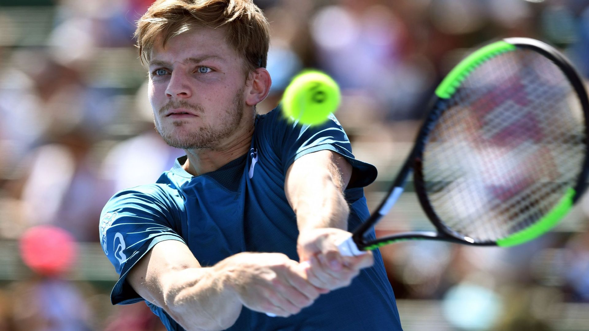 David Goffin avant le premier Grand Chelem de l'année ? Confiant, calme ...