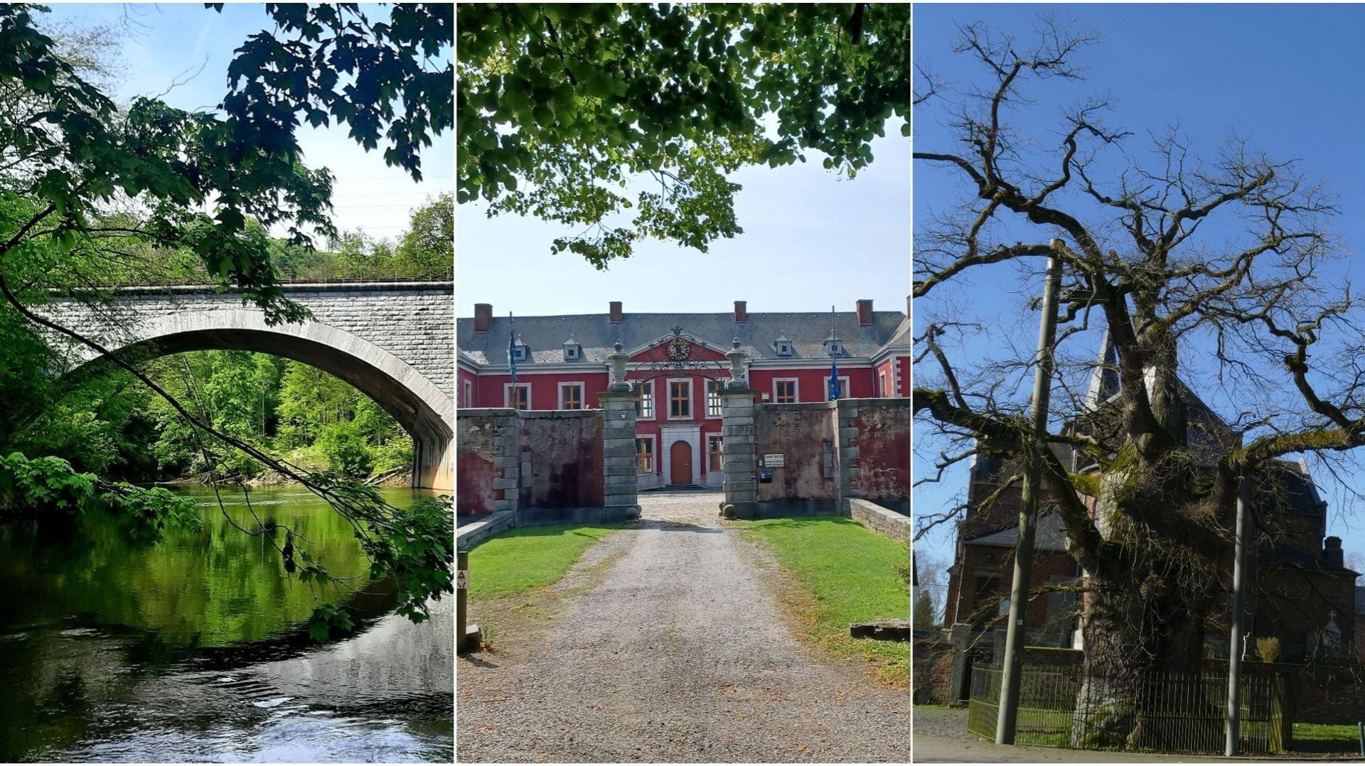 Les 18 marches Adeps du dimanche 24 août en Wallonie - RTBF Actus