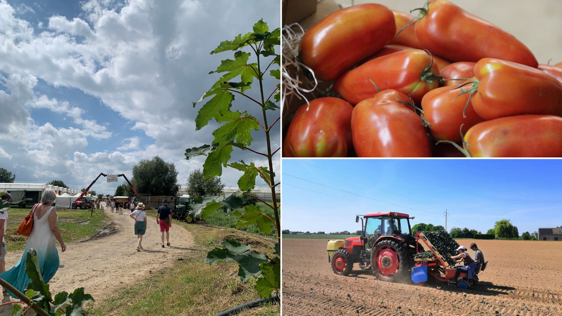 Emily black nude videos pictures a bit not recent but she