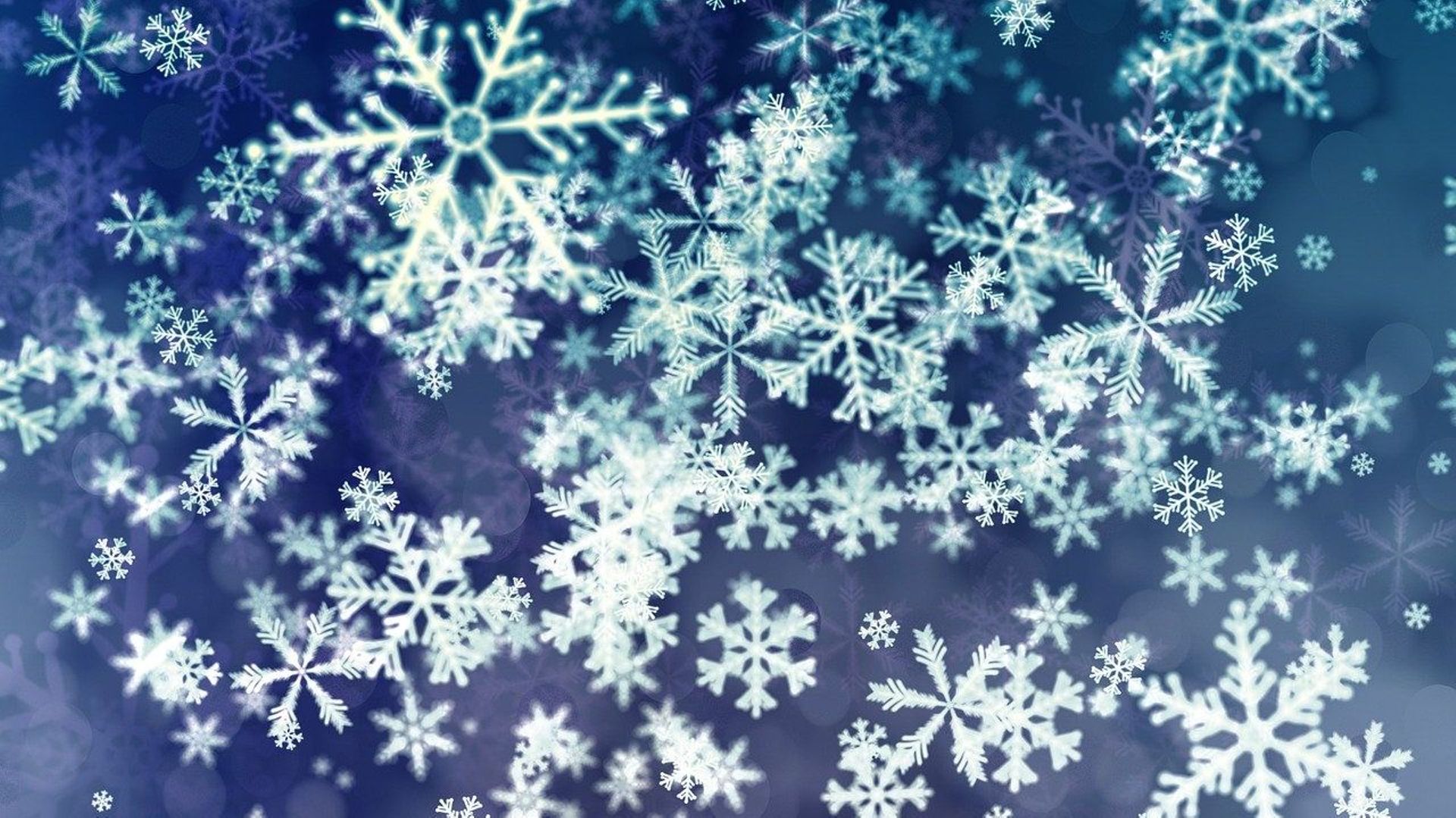 Les flocons de neige tombent-ils tous de la même manière, peu importe ...