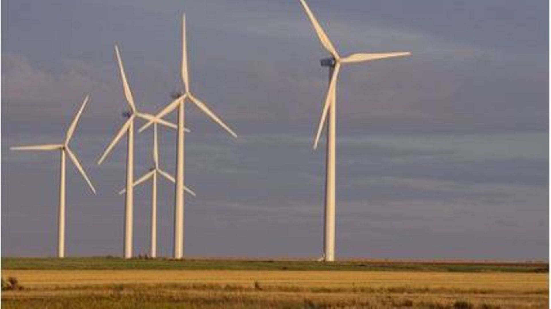 Le collège communal de Habay rejette le projet éolien - RTBF Actus