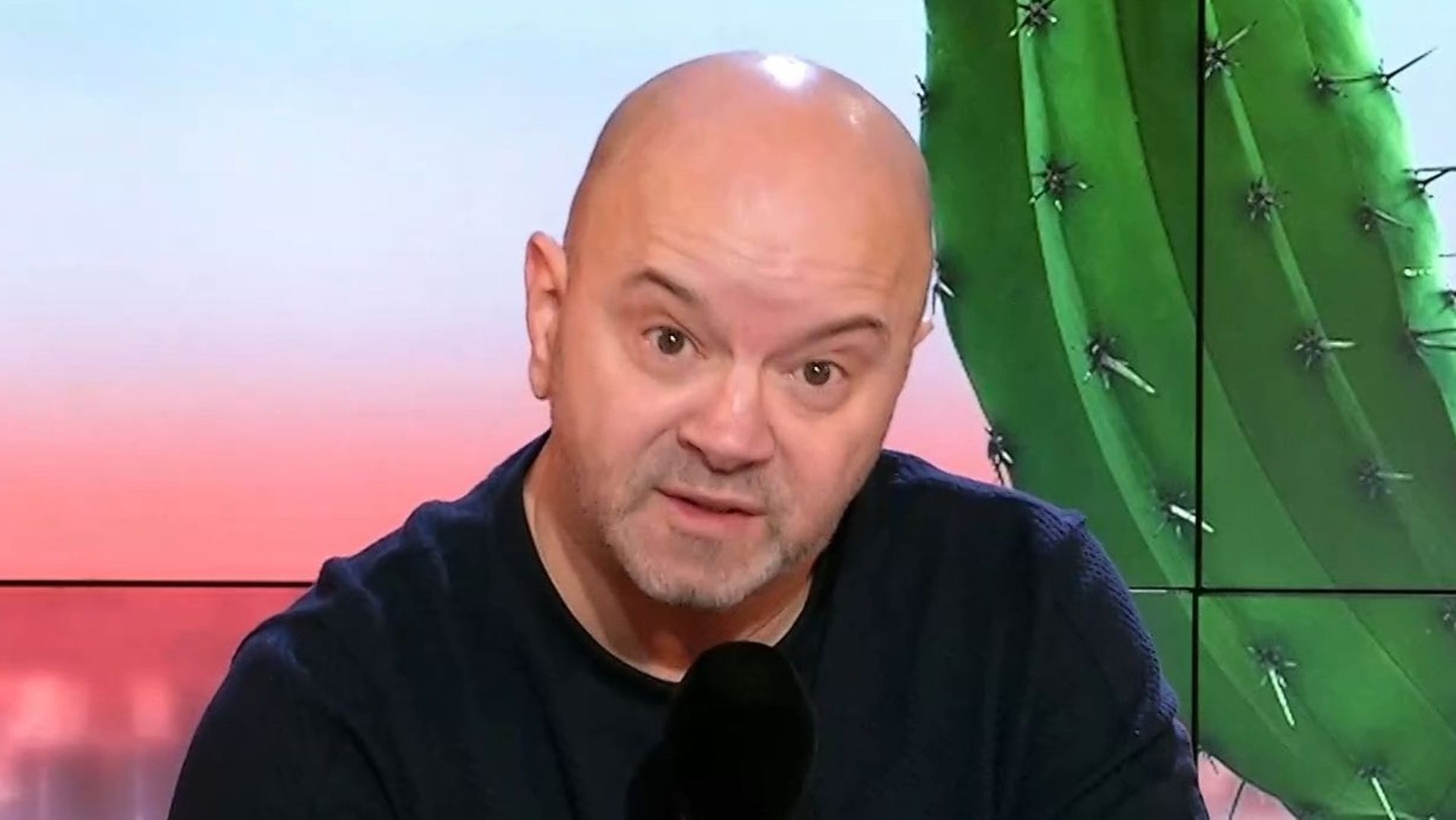 Le Cactus : Jérôme de Warzée revient avec humour sur la tentative d ...