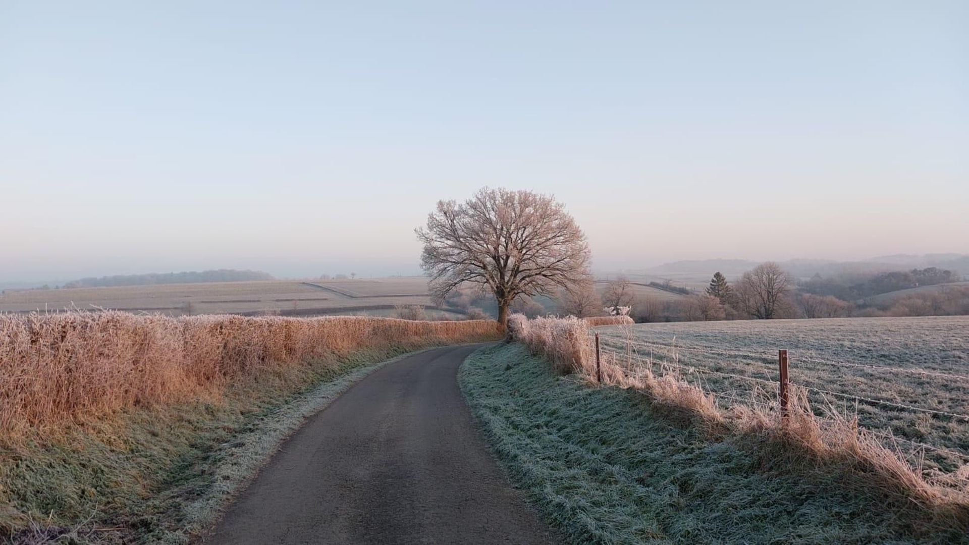 Les 14 marches Adeps du dimanche 26 janvier en Wallonie - RTBF Actus