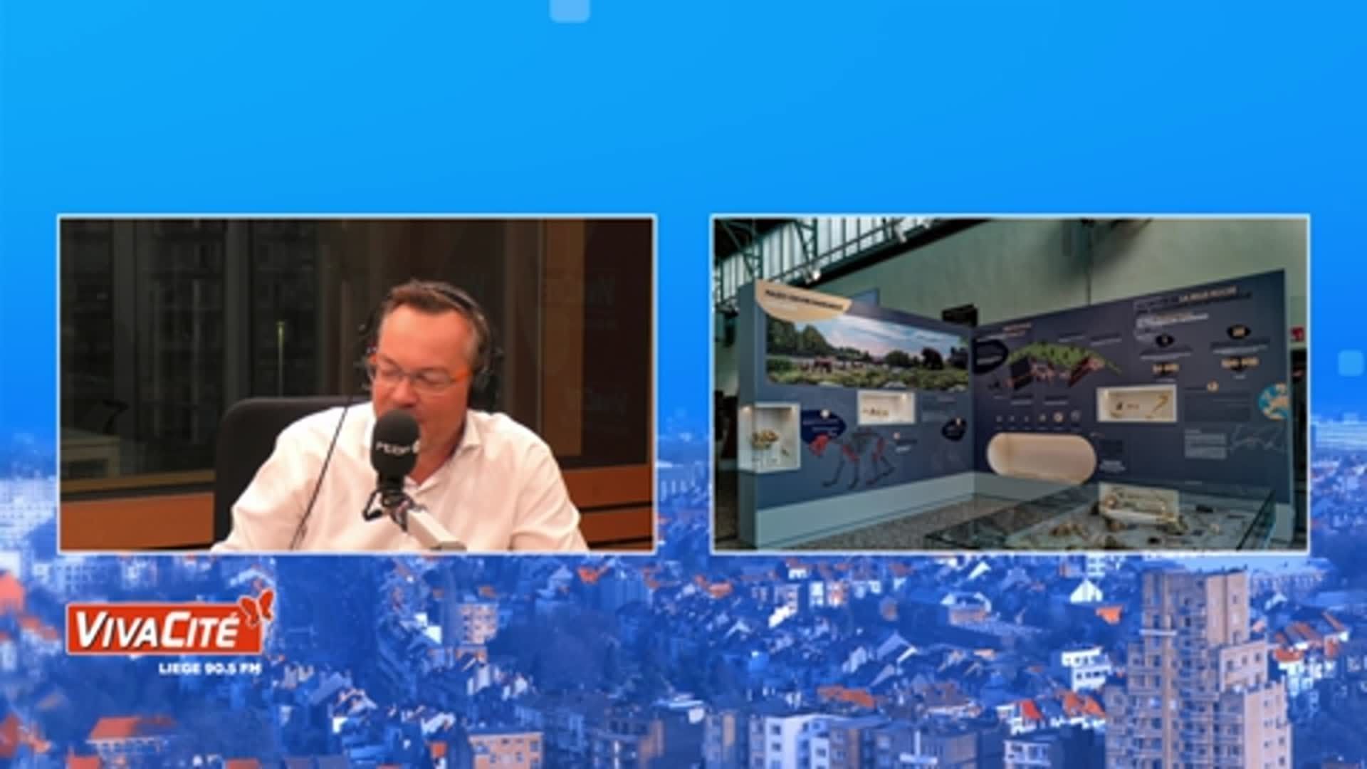 Le centre d’interprétation de la pierre de Sprimont ouvre un nouvel ...