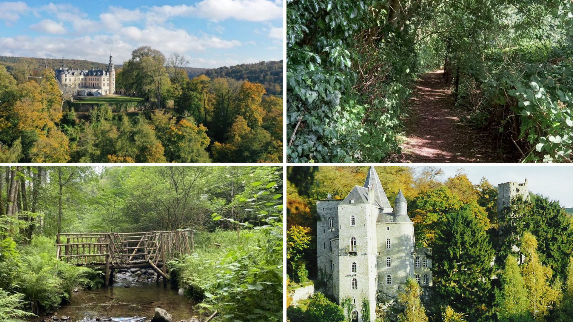 Les 16 marches Adeps du dimanche 11 août en Wallonie - RTBF Actus