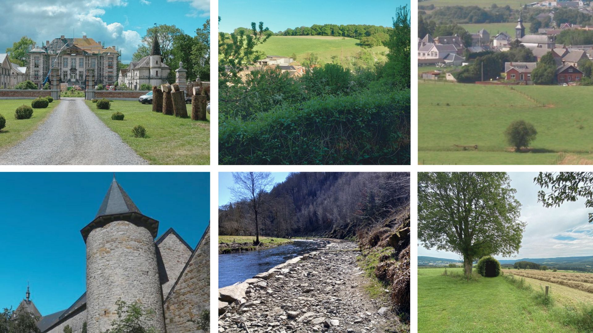 Les 14 marches Adeps du dimanche 27 juillet en Wallonie - RTBF Actus