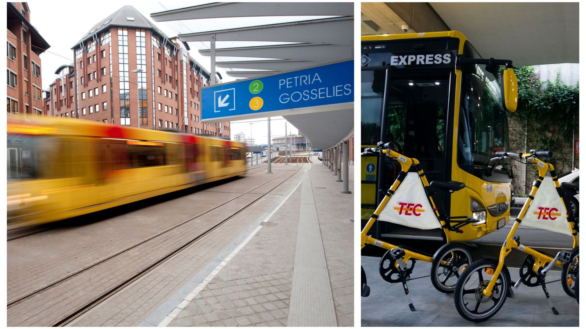 Le premier bus 100% électrique du TEC est arrivé à Liège ce jeudi ...