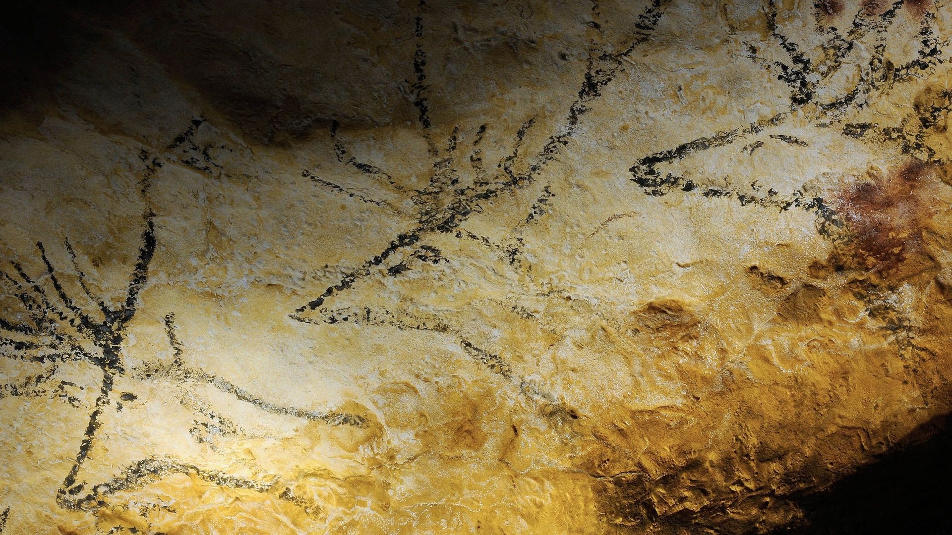 'Lascaux Expériences' pour visiter la célèbre grotte en… Belgique ...