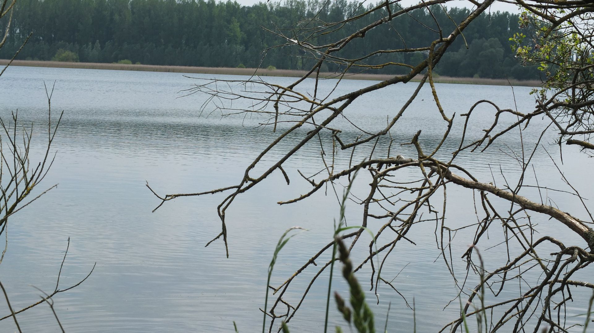 La Wallonie d'est en ouest - rtbf.be