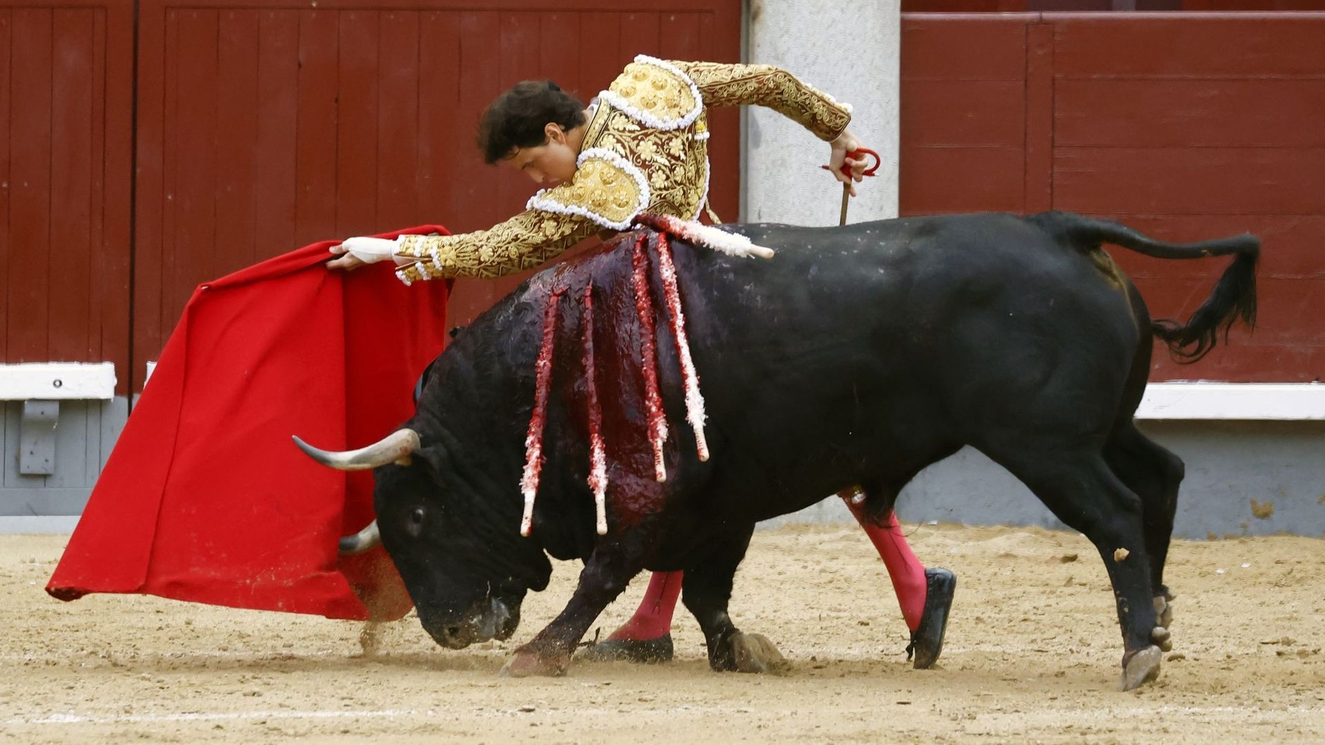 Tauromachie : pourquoi le réalisateur Albert Serra voit de l’art dans ...