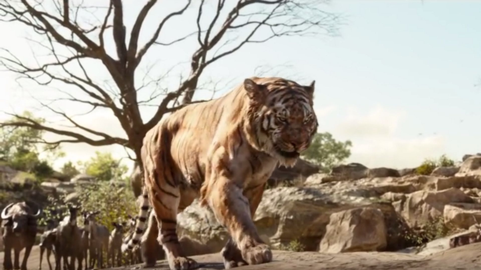 Un nouveau trailer du 'Livre de la jungle', centré sur Shere Khan ...