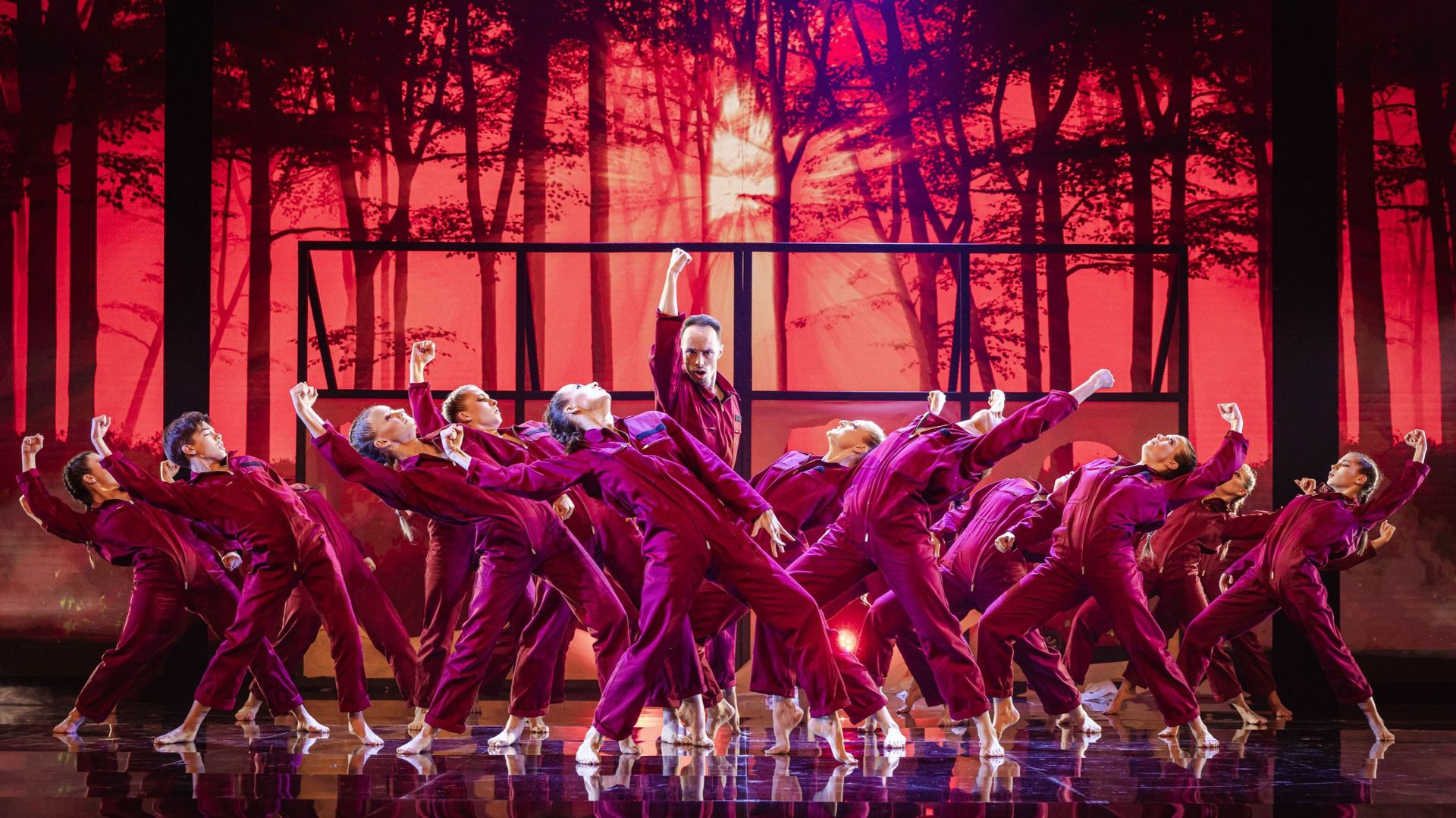 The Dancer : découvrez la note de Laura, 18 ans, dont le cœur vacille ...